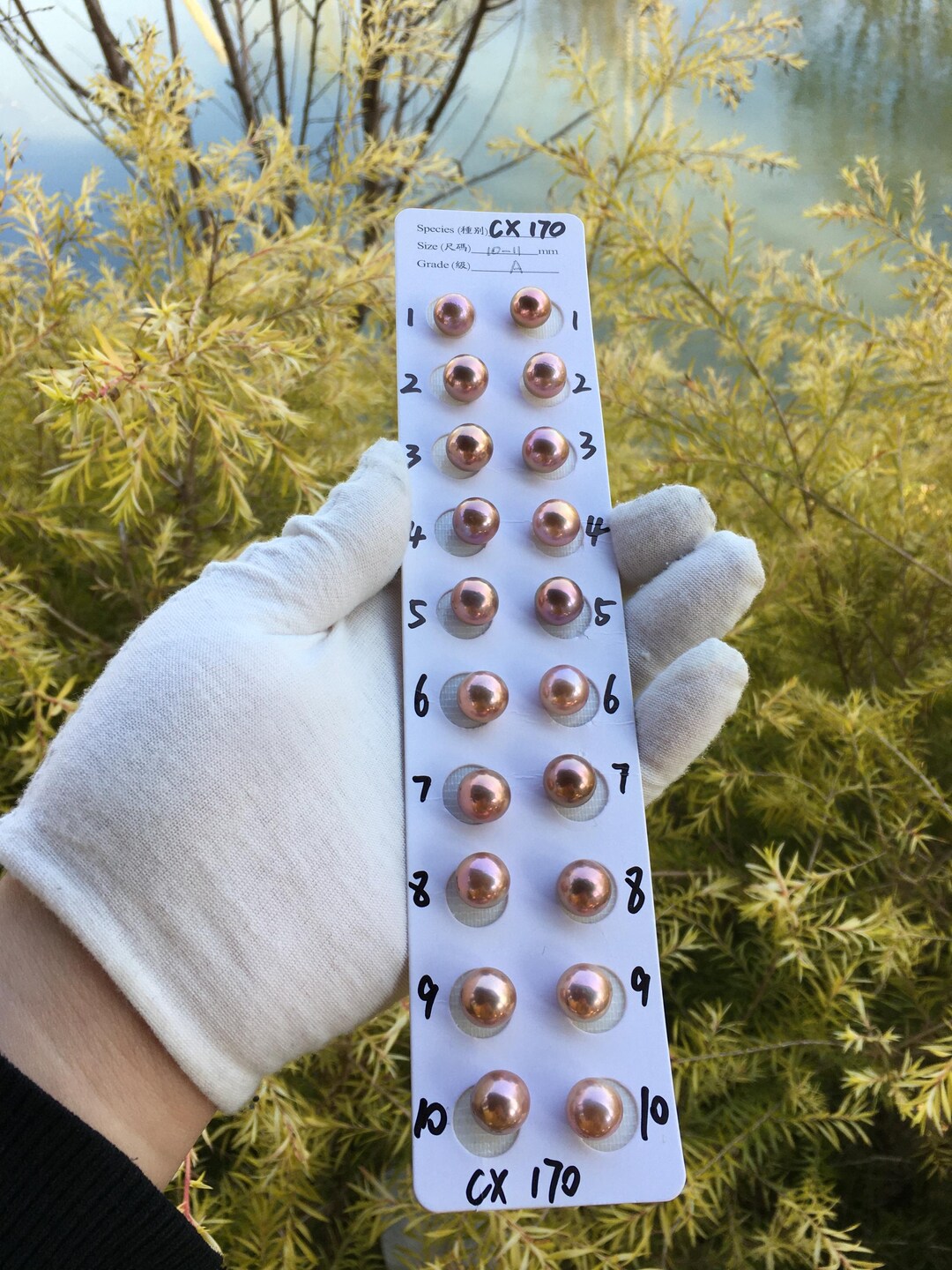 Natural Metallic Magenta Color Edison Pearl Pair|natural Round/near ...