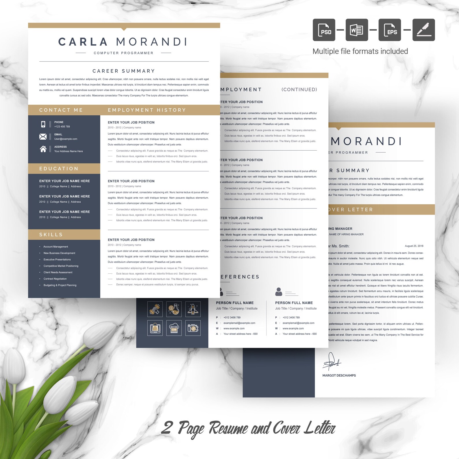 Modern Resume Template / CV Template and Format CV Examples - Etsy