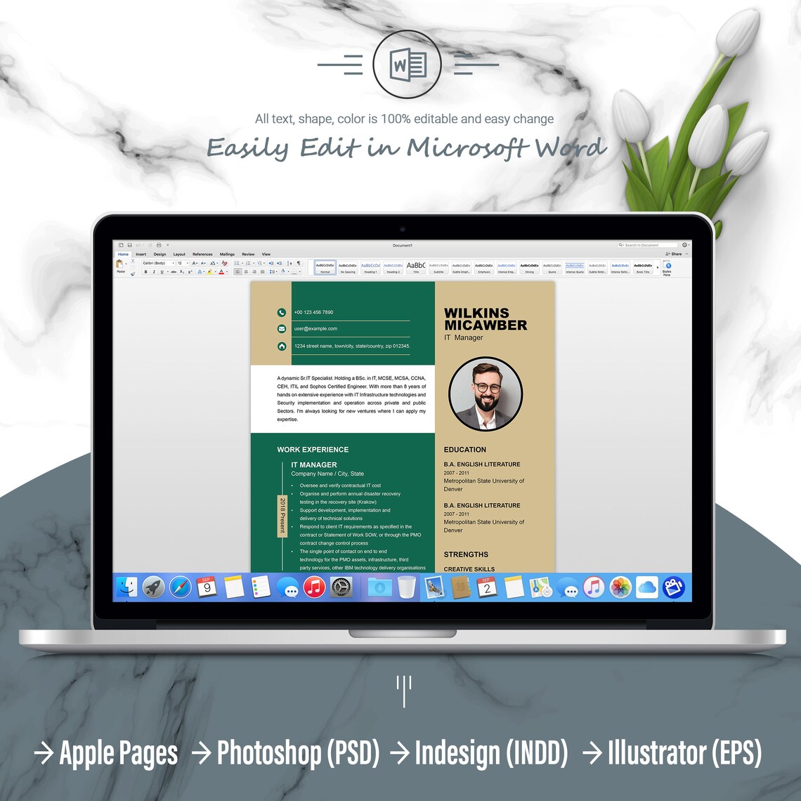Elegant Resume CV Template, Editable CV Design, Job Application ...