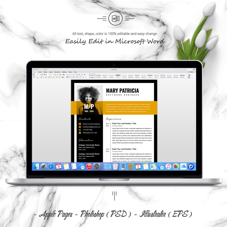 Software Engineer Bold Resume Template Format word, Apple Pages ...