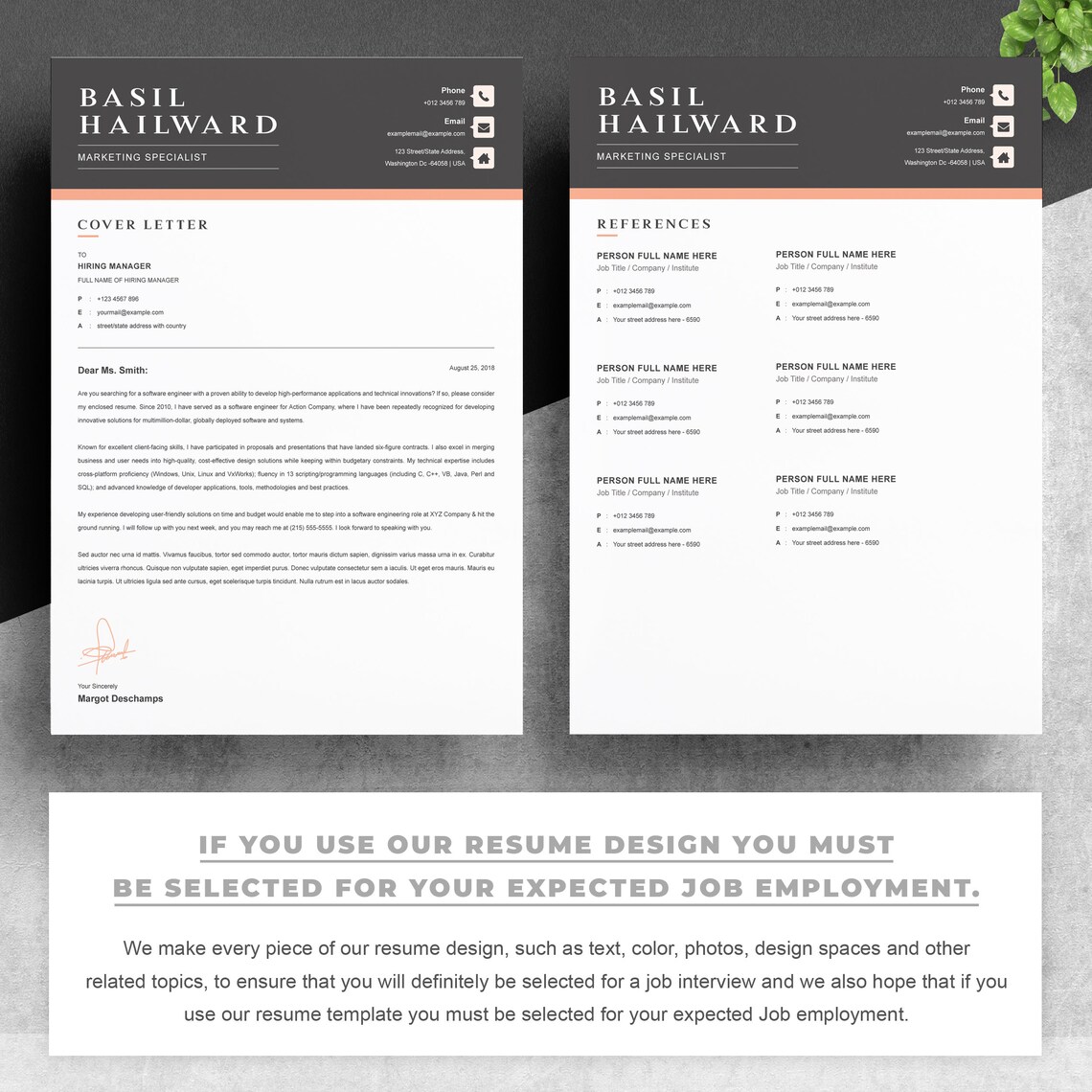Professional Simple Resume Template Word Clean Resume Template Apple ...