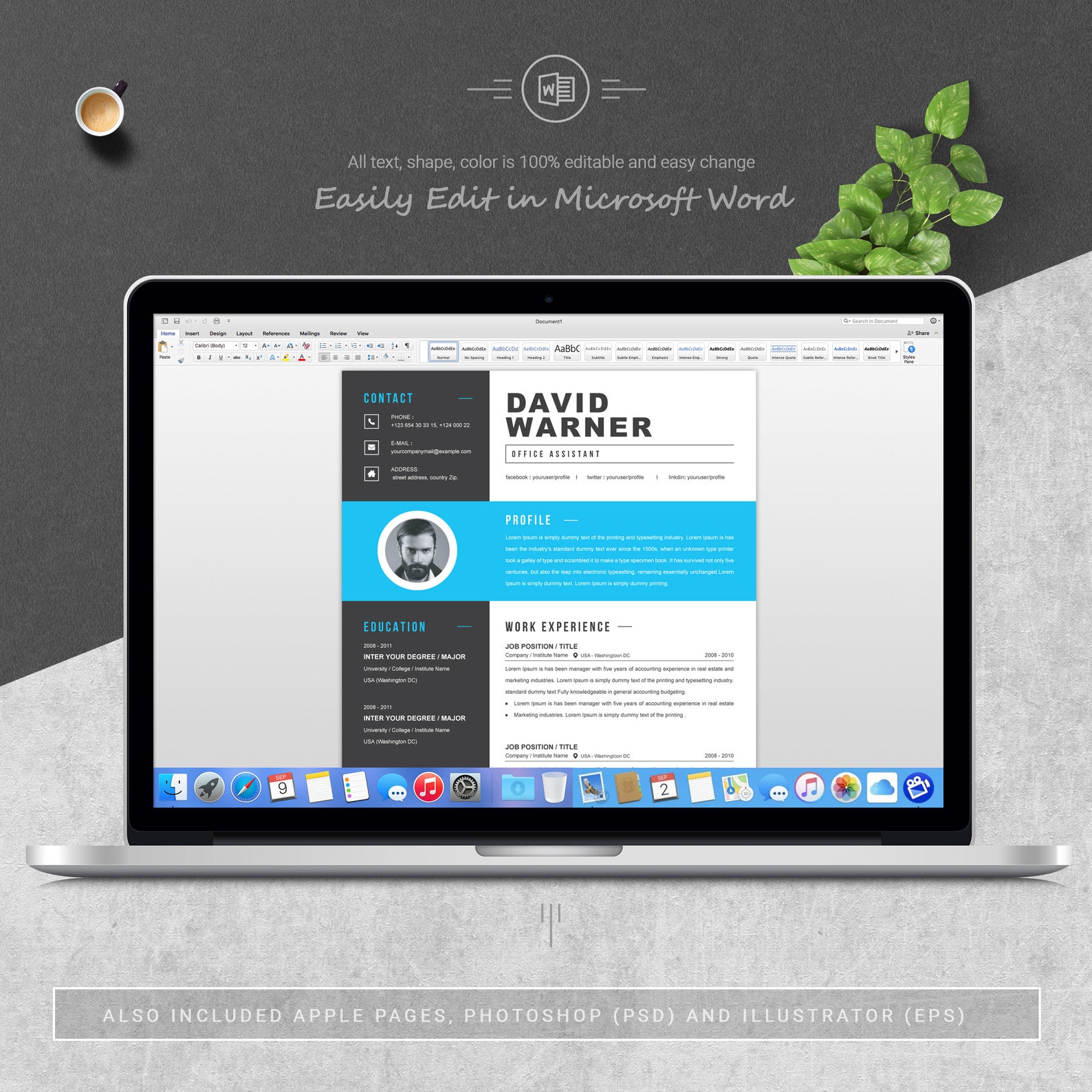 Resume Template Professional Resume CV Template Modern Resume Resume ...