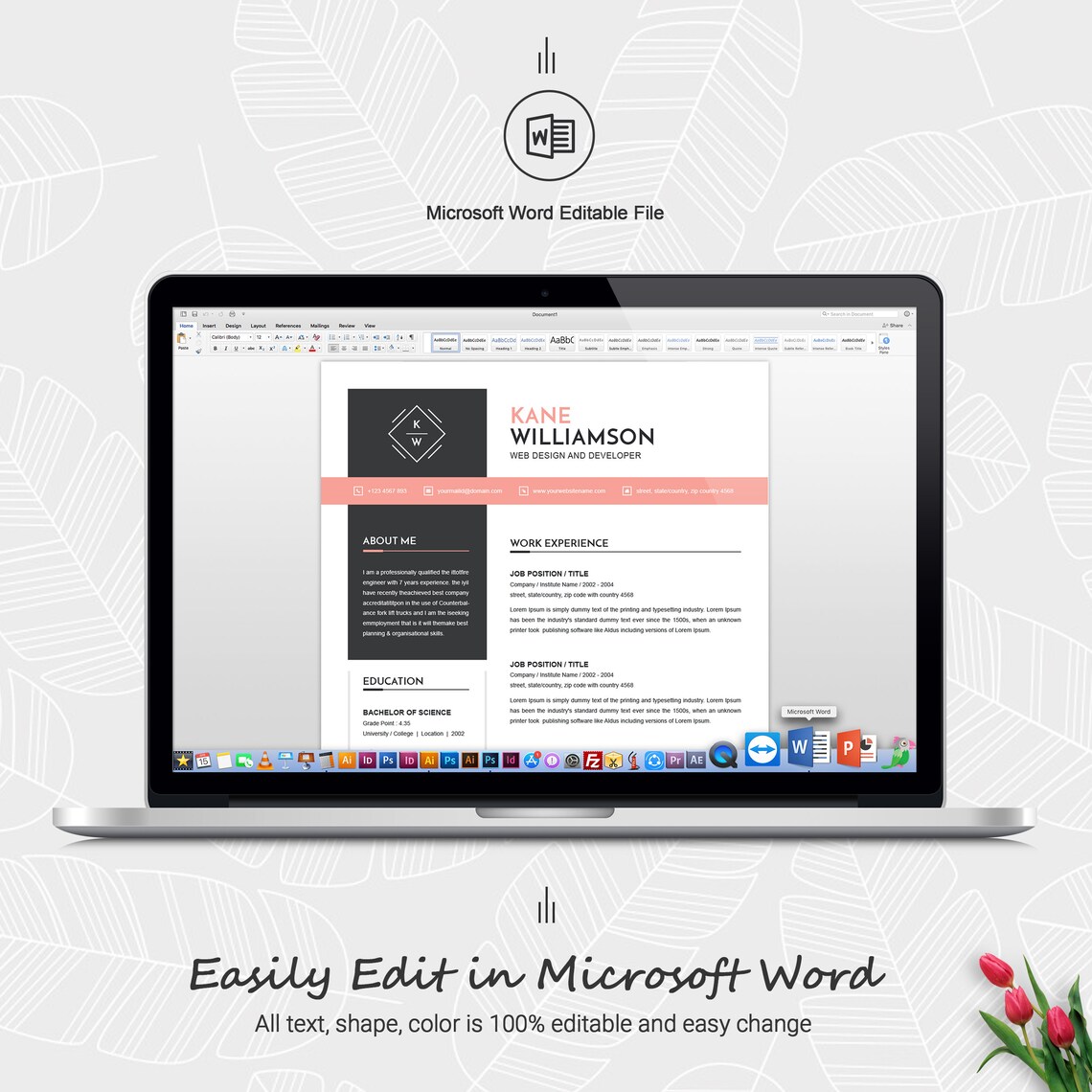 Professional Resume Template MS Word CV Design Template Instant ...