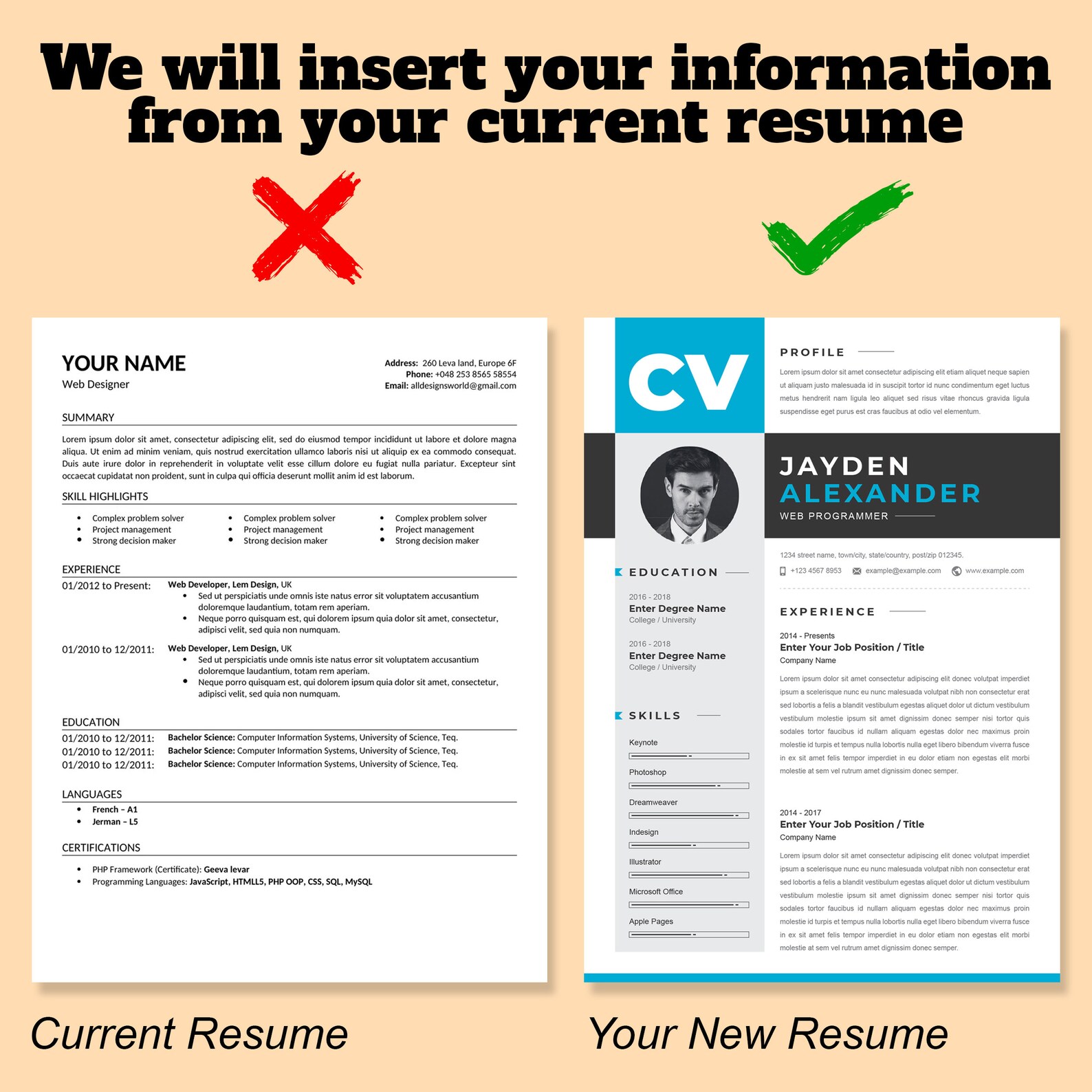 Resume Template Fill-in With Customization, Resume/cv Editing, Template ...