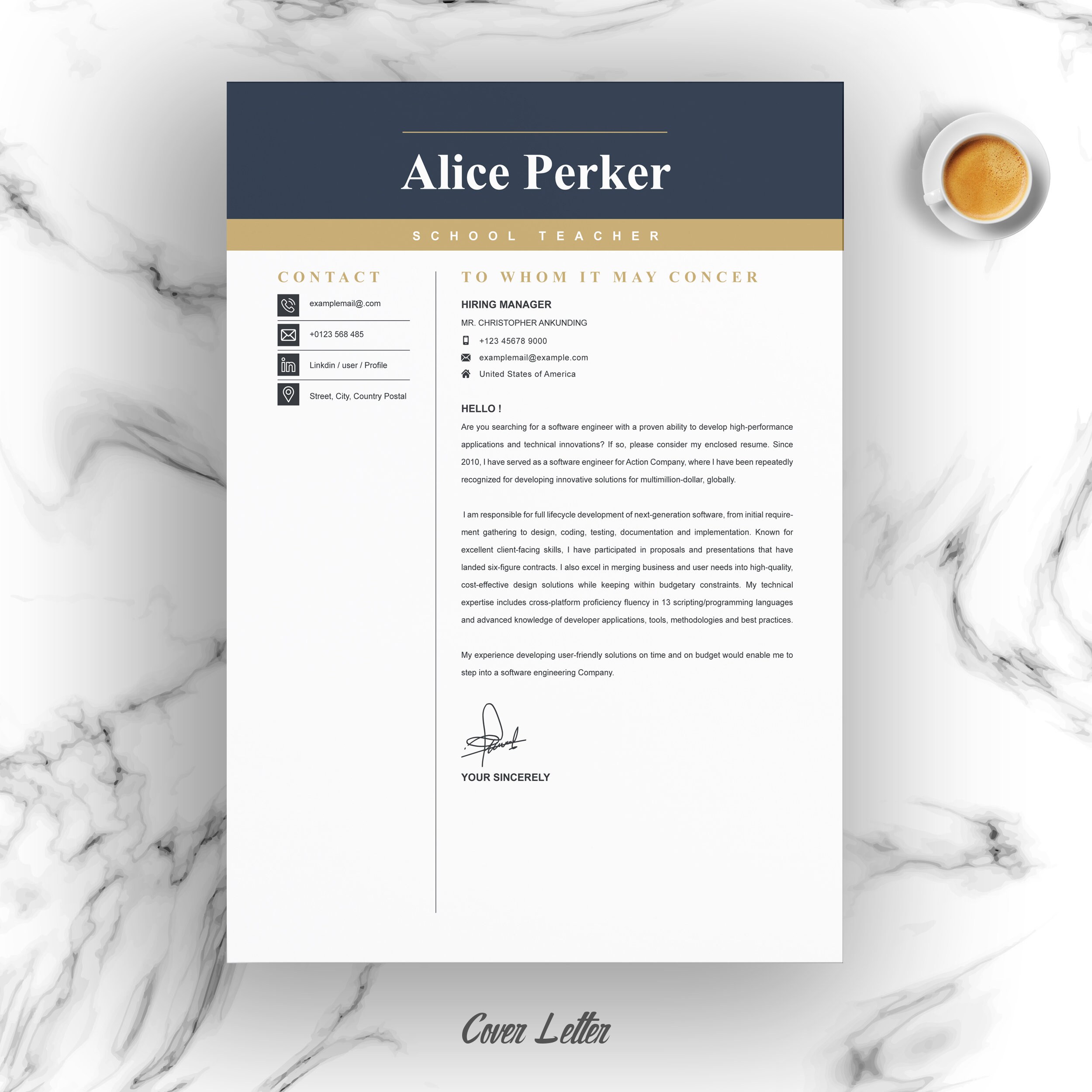 School Teacher Resume Education CV Template High School CV - Etsy
