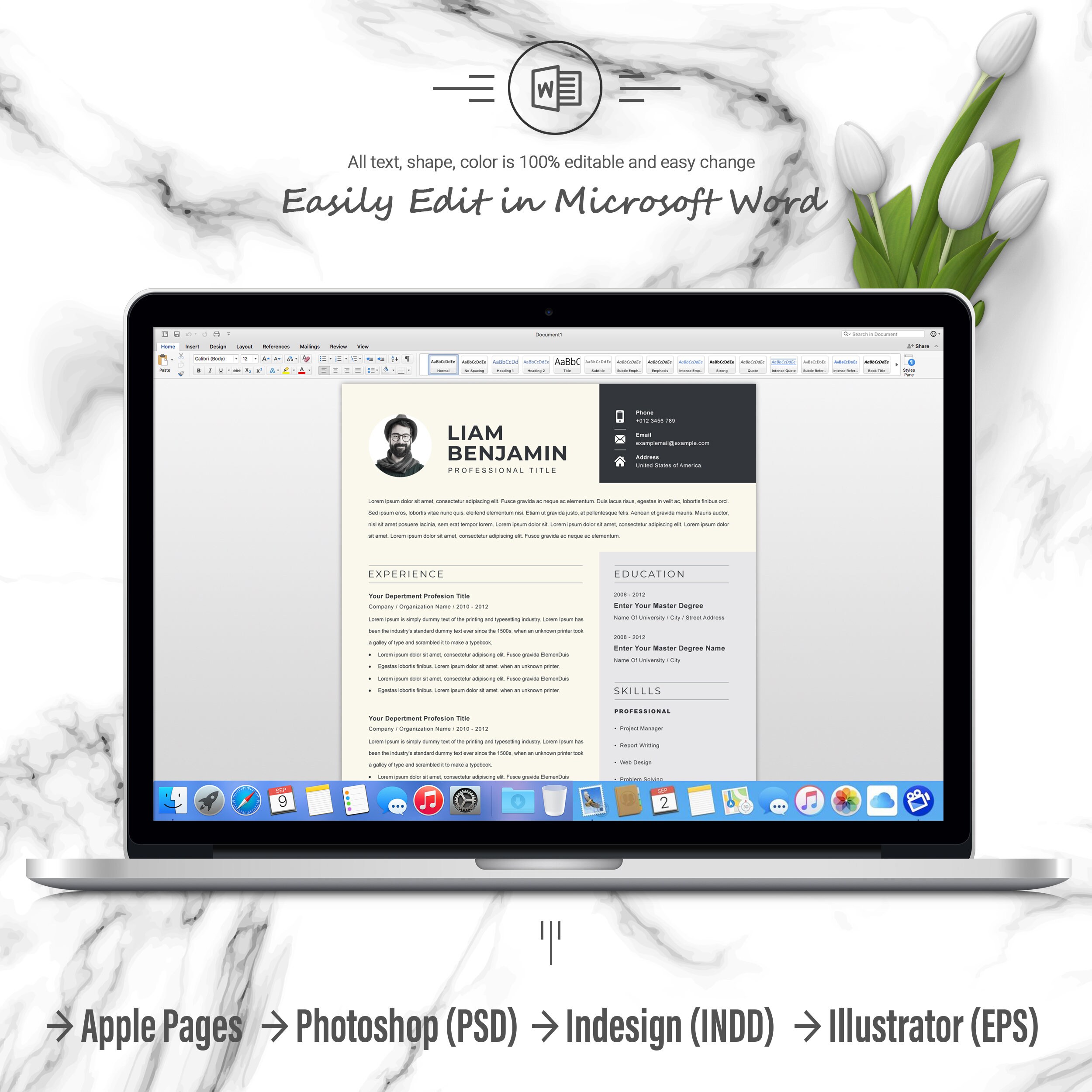 Curriculum Vitae / CV Template Microsoft Word Best Selling - Etsy