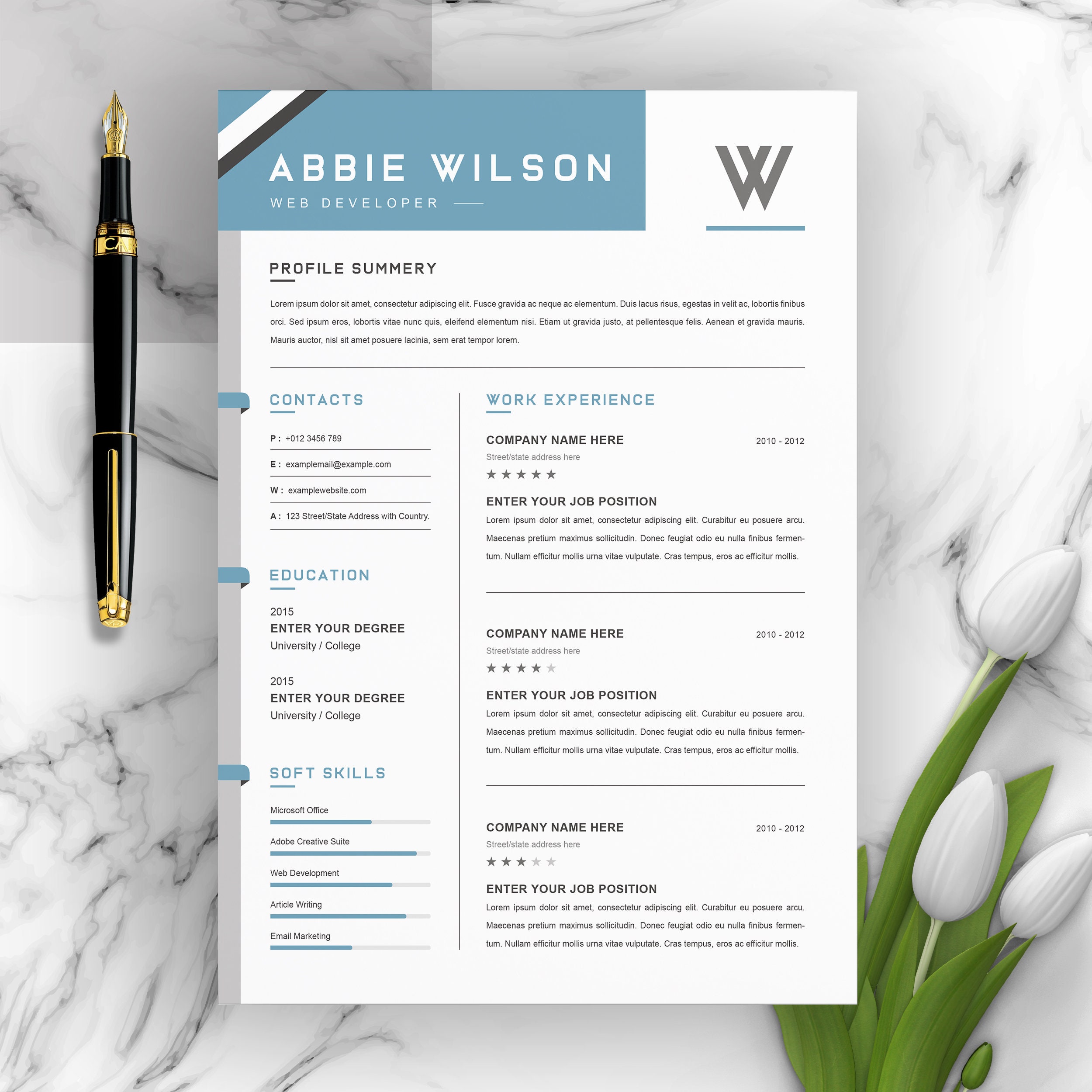 Word Resume / CV Template for Web Developer - Etsy
