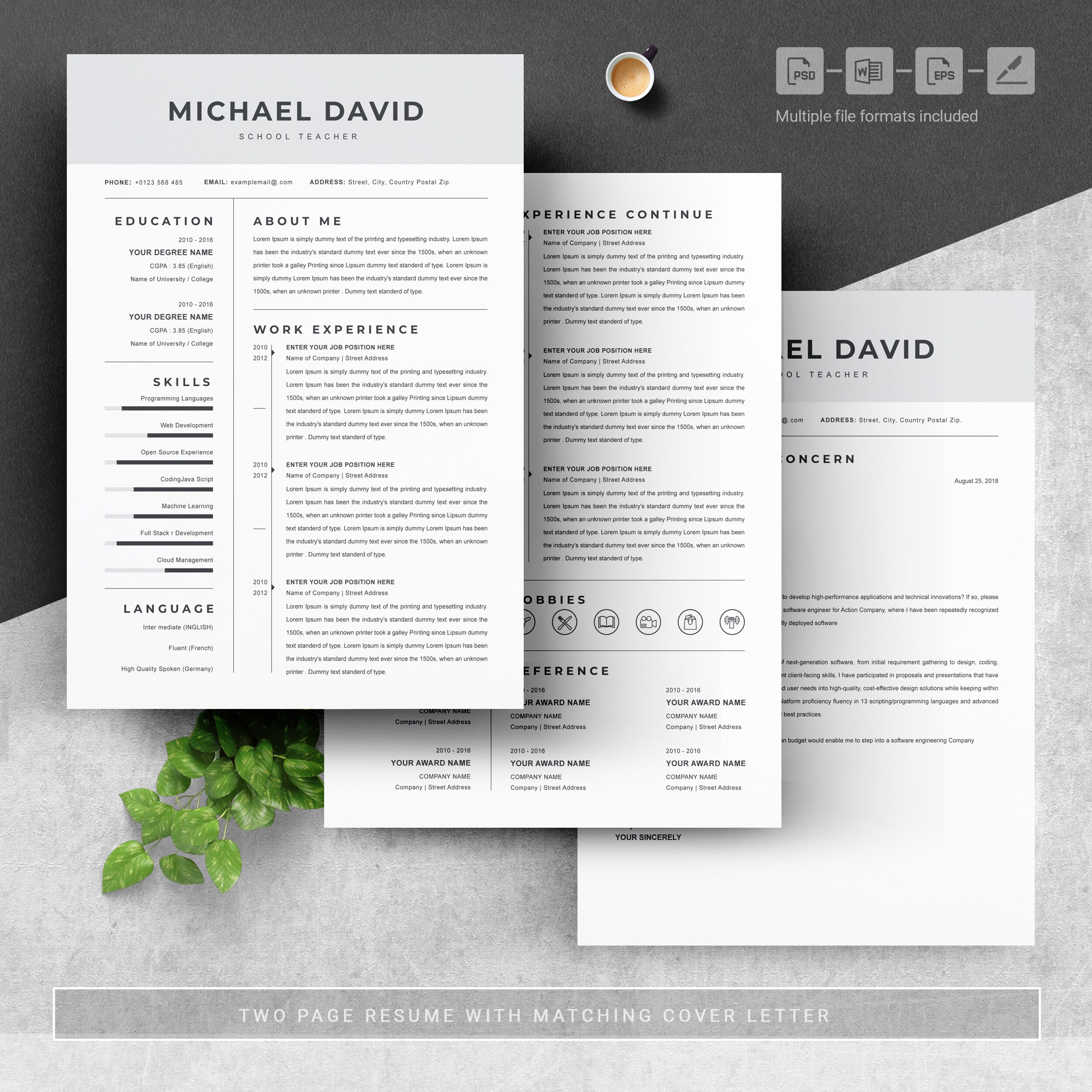 Clean Resume Template Black Resume Professional Resume / CV Template ...