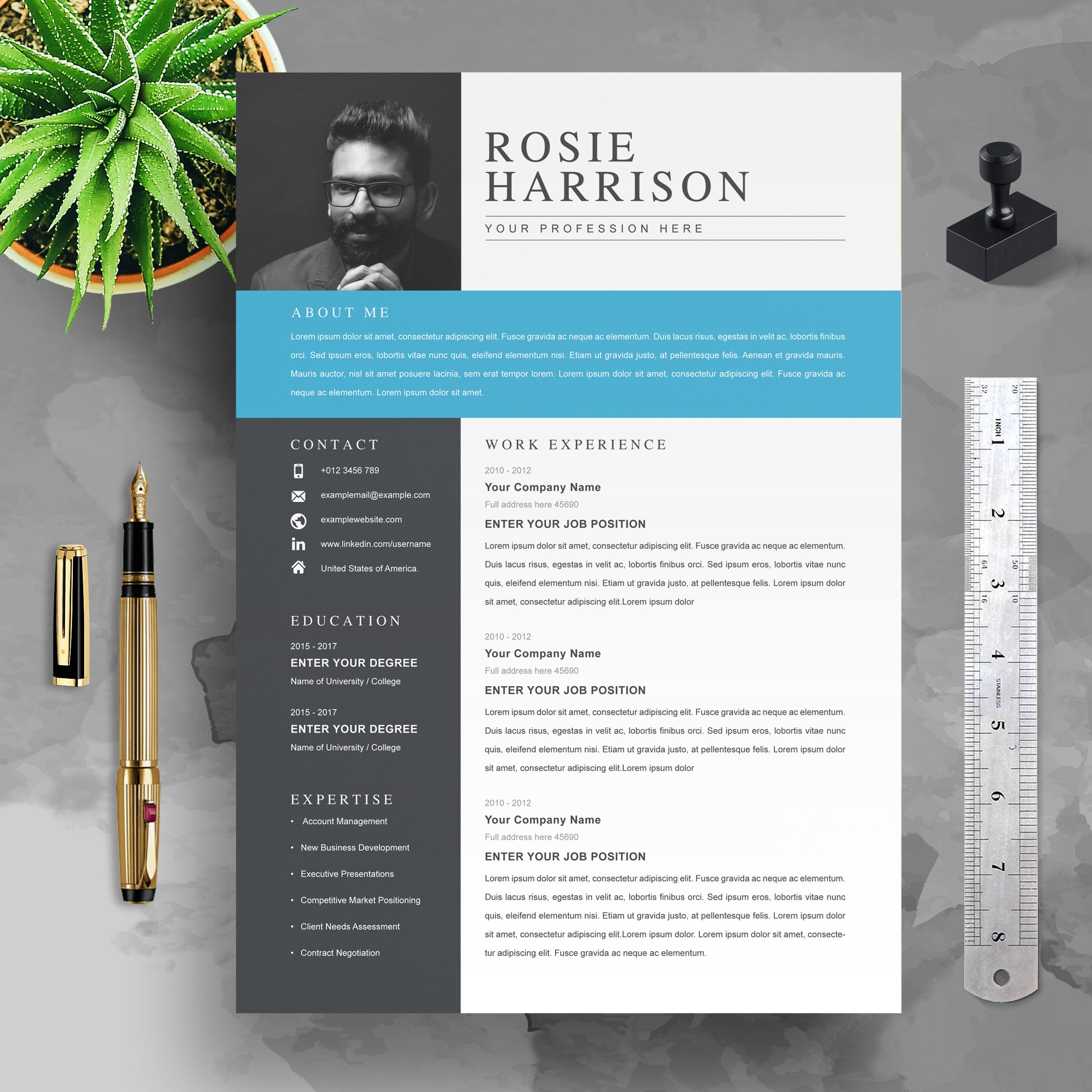 Creative Resume Template for Ms Word Cv Template Us Format Resume ...