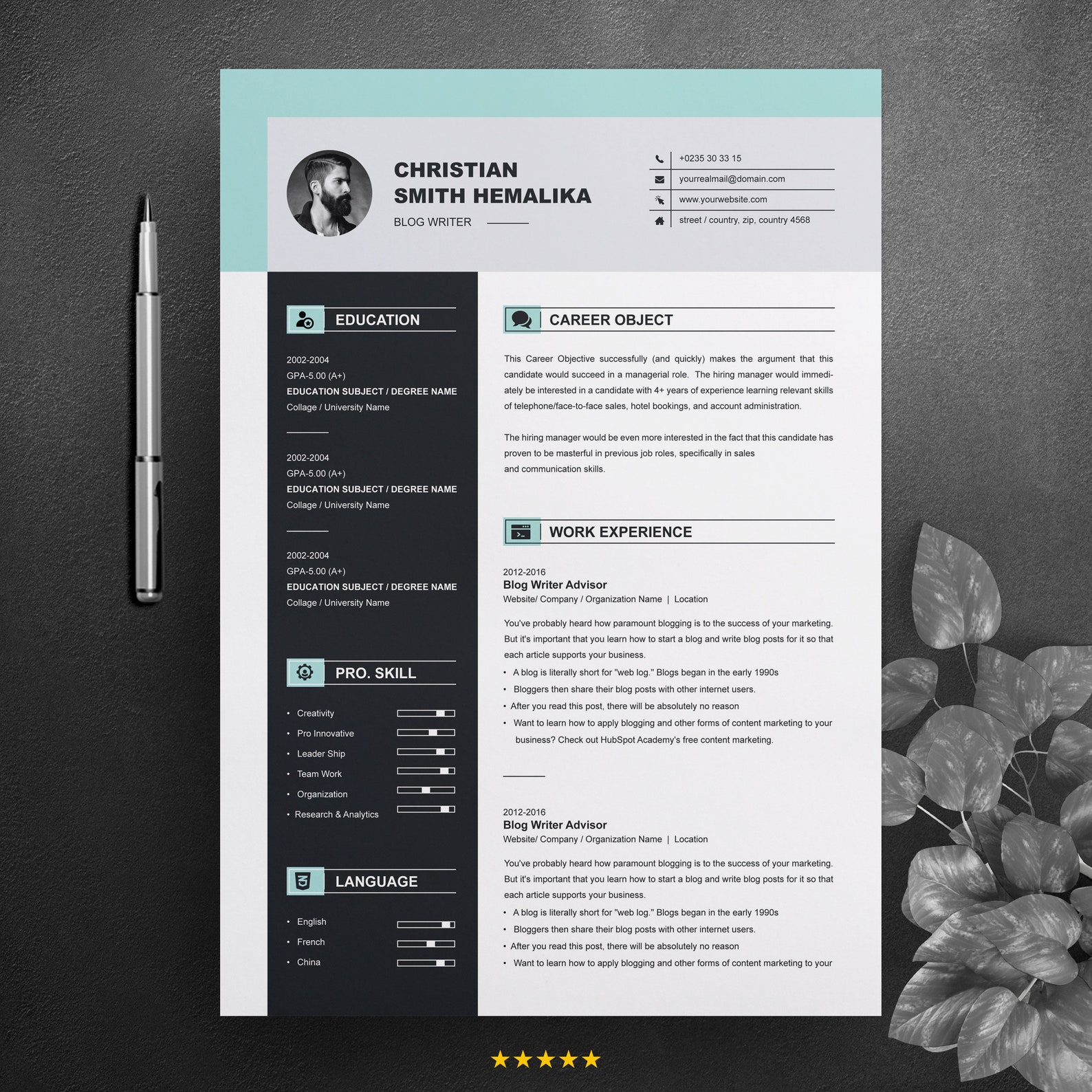 Professional Resume Template MS Word CV Design 2 Pages Best Curriculum ...