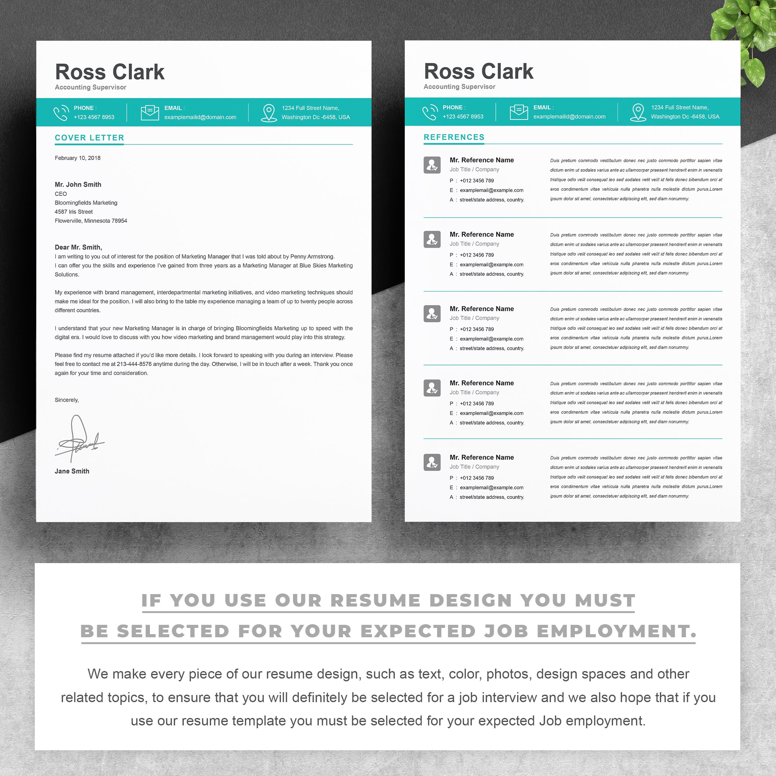 Elegant Resume Template Stylish CV Design Editable Resume Sophisticated ...