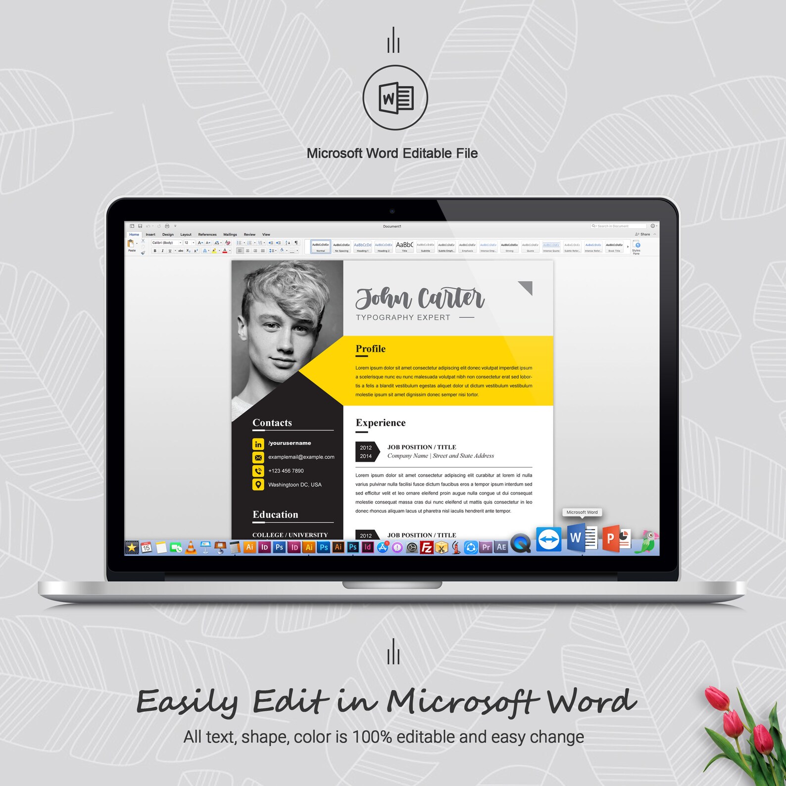 CV for Typography Expert Resume Template With Photo - Etsy