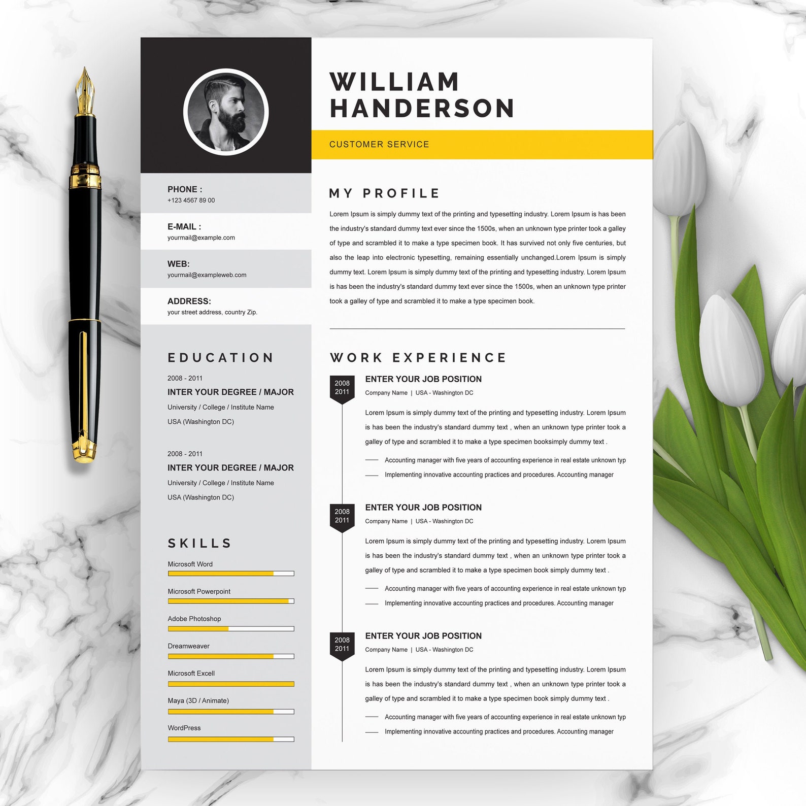 Professional Resume Template Word Clean Resume Template Apple Pages ...