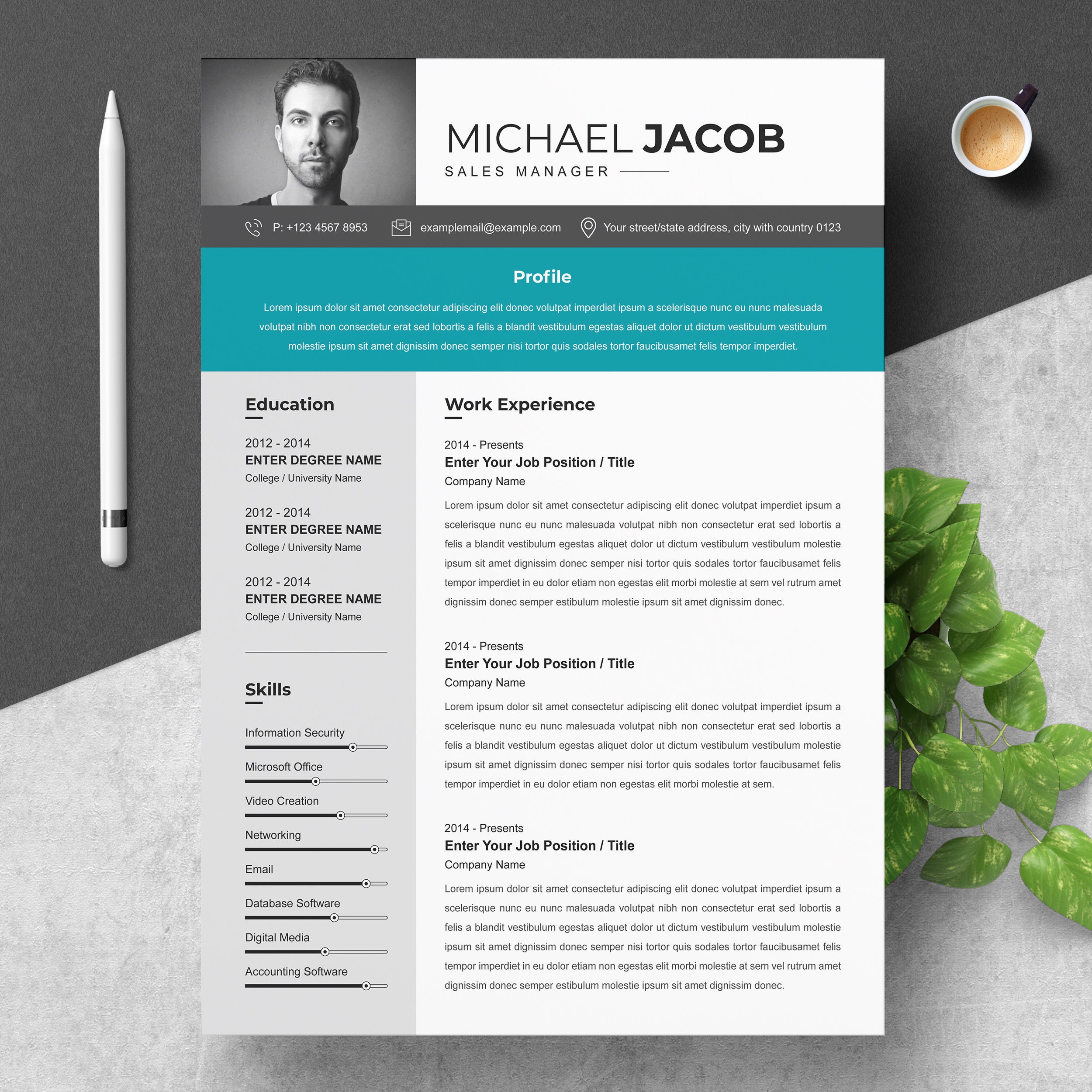Sales Manager Resume Template Format [word, Apple Pages, Indesign ...