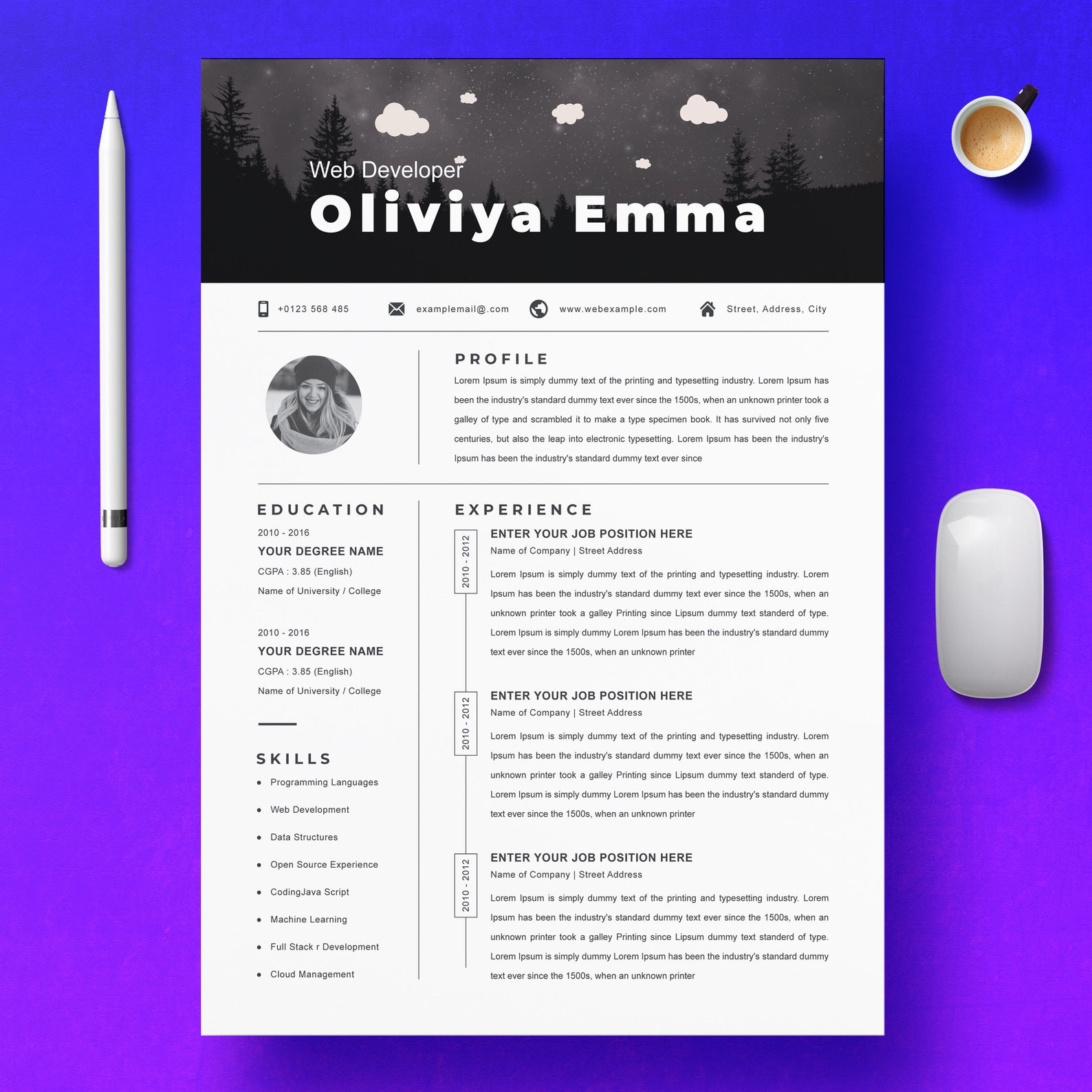 Web Developer Resume Freelancer CV Template Design - Etsy Canada