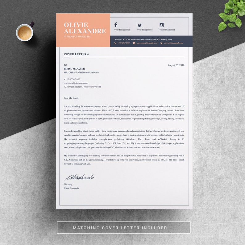 Professional Resume / CV Template MS Word Apple Pages - Etsy