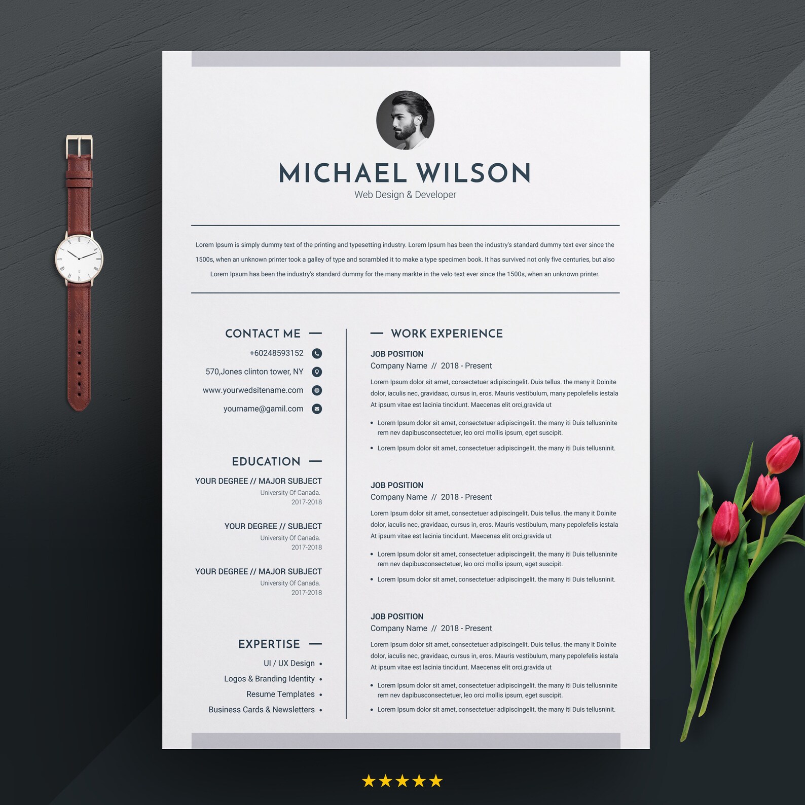 2 Pages Clean Professional Resume CV Curriculum Vitae Design Template ...