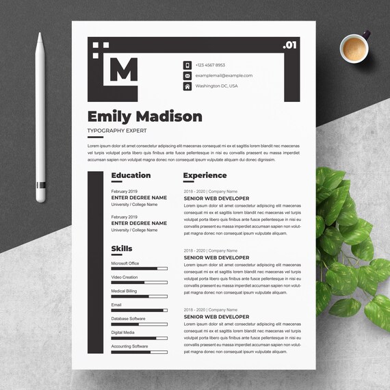 Mi Resume Format