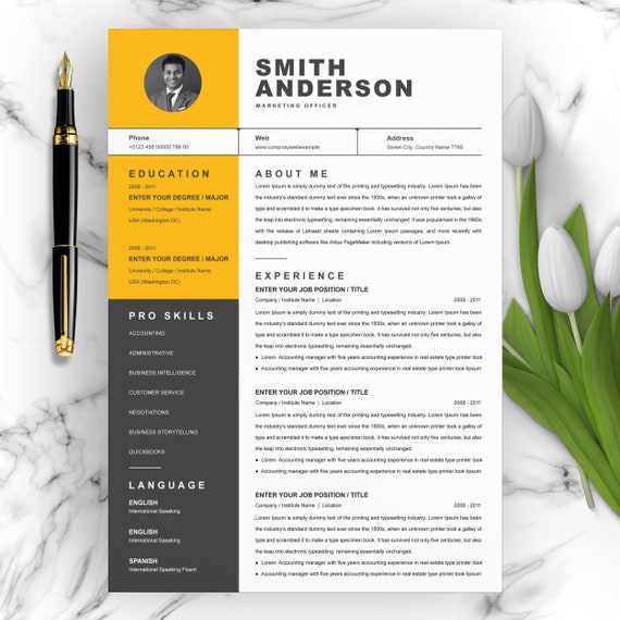 Contemporary Modern & Professional Colour Resume Template for | Etsy