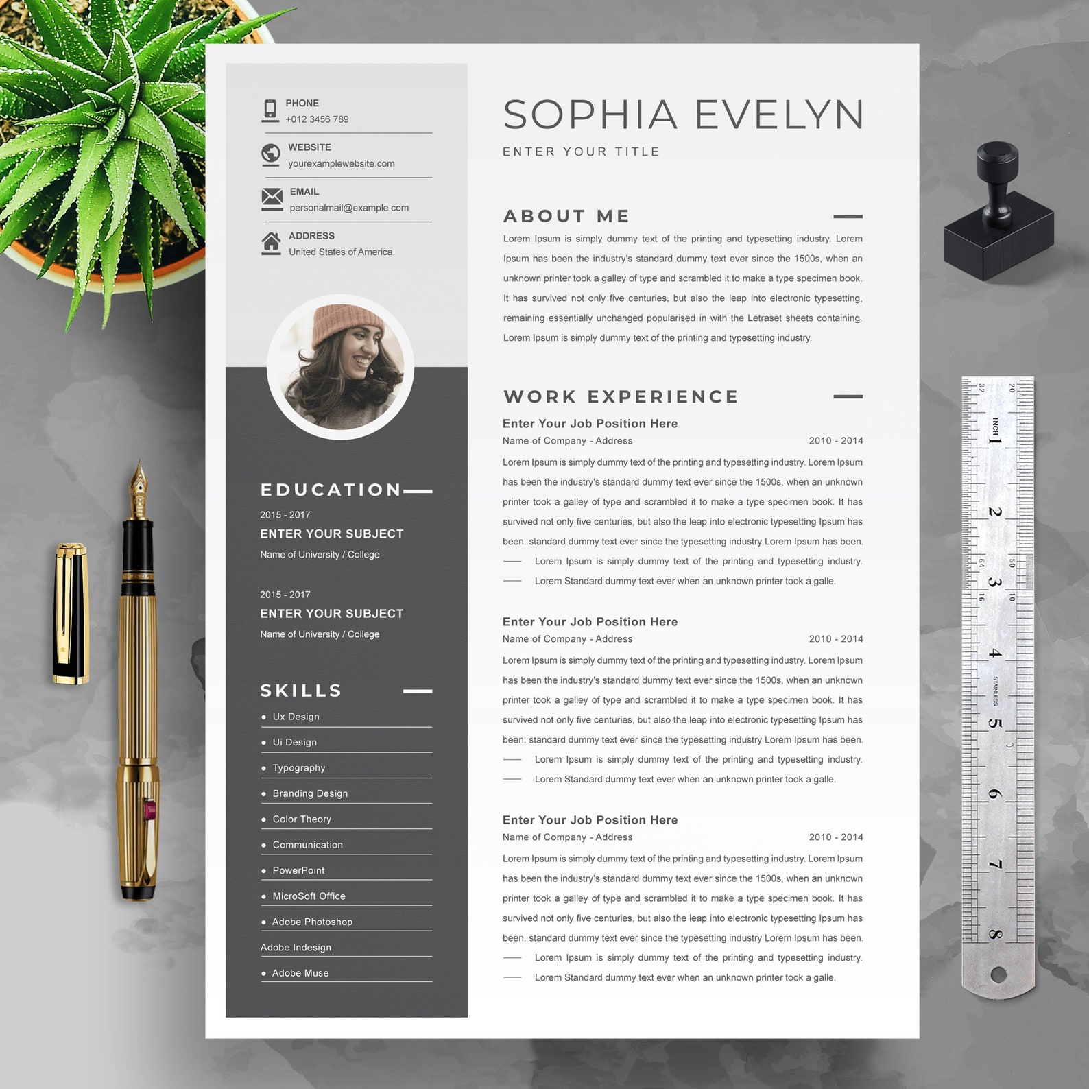 Modern Executive Resume Template 2021 for Word and Mac Pages ...