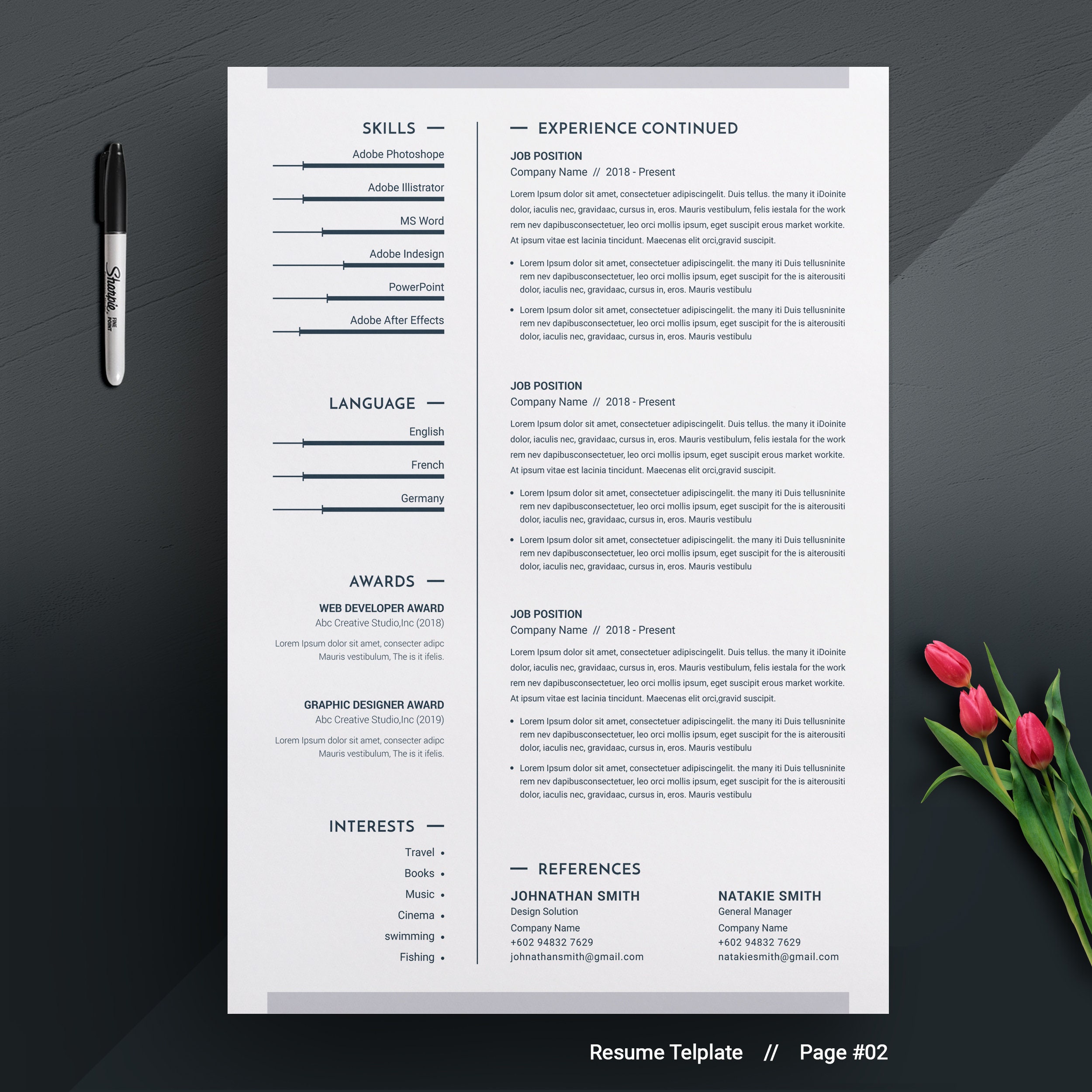 2 Pages Clean Professional Resume CV Curriculum Vitae Design Template ...