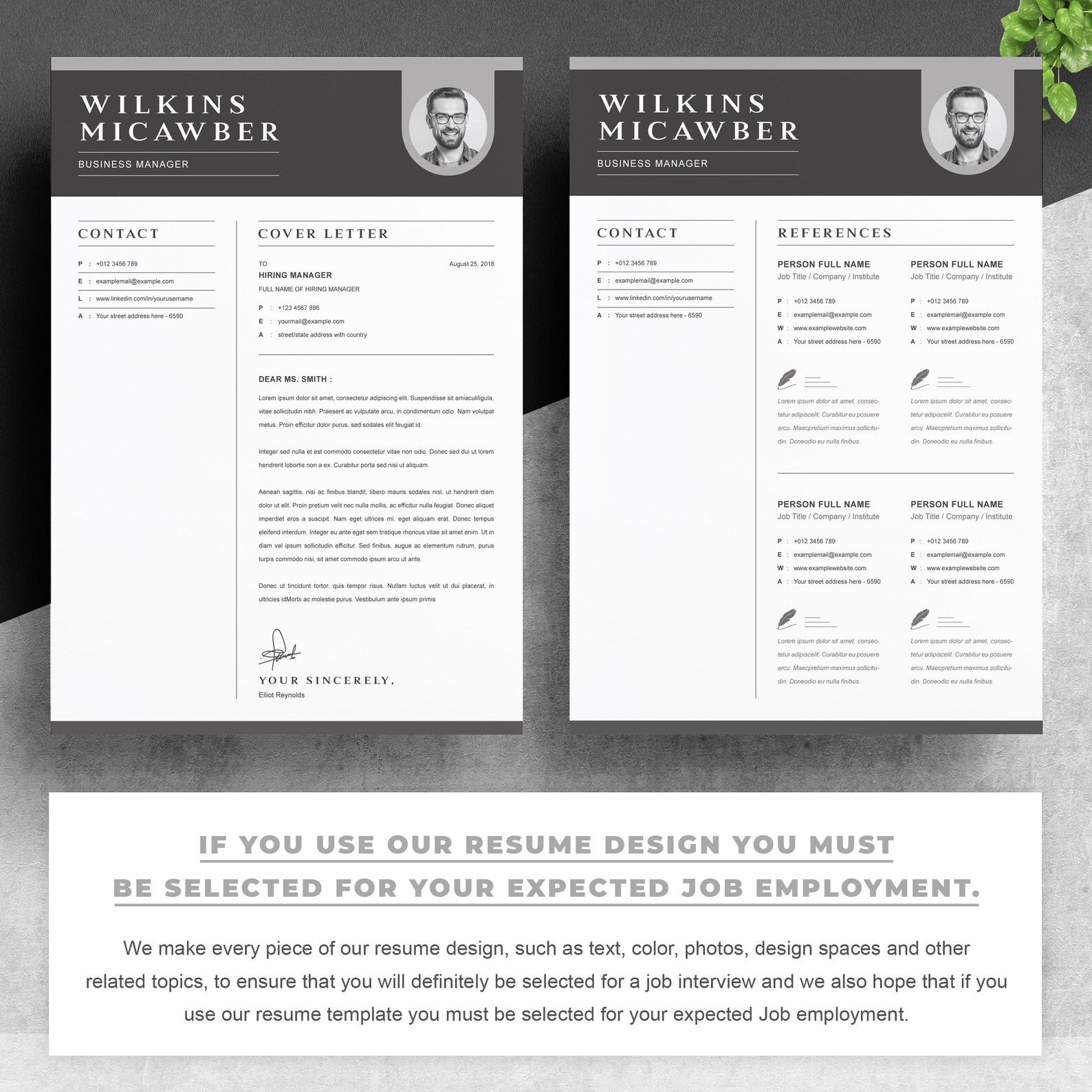 Resume Template / CV Template Professional Resume Template Curriculum ...
