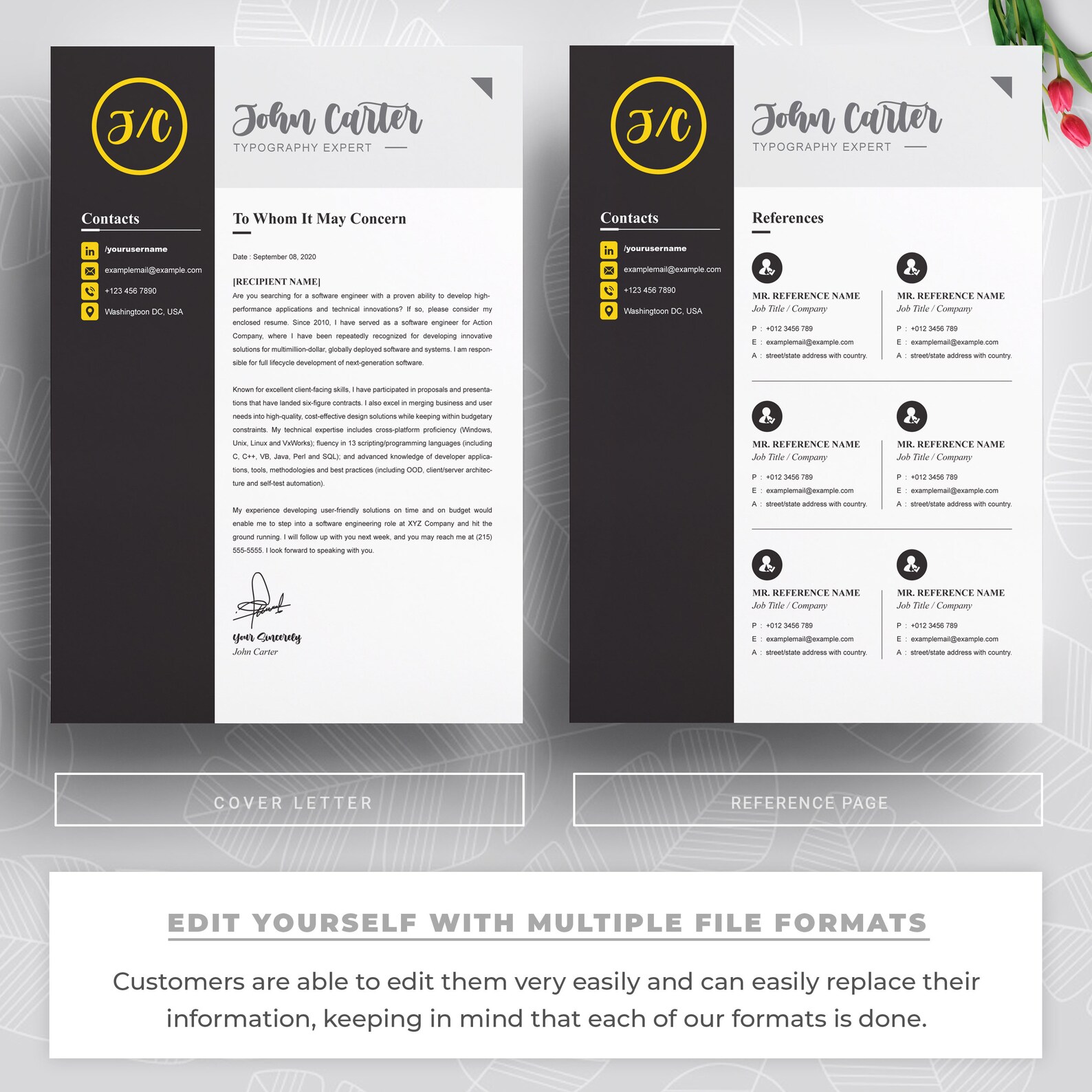 CV for Typography Expert Resume Template With Photo, Professional ...