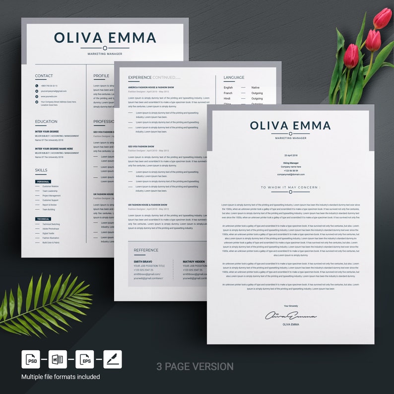 Professional Resume Template / 3 Page CV Template Design - Etsy
