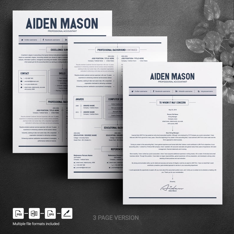 CV, Resume Template Word, 2 Page Resume Template, Modern Resume ...