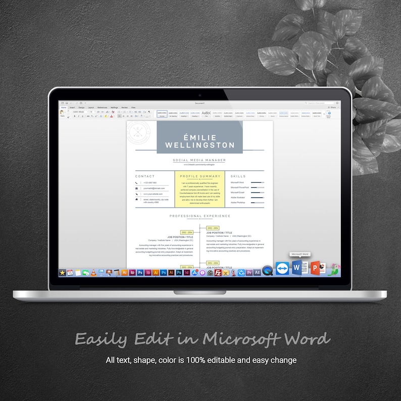 Creative Professional Resume / CV MS Word Apple Pages Design Template ...