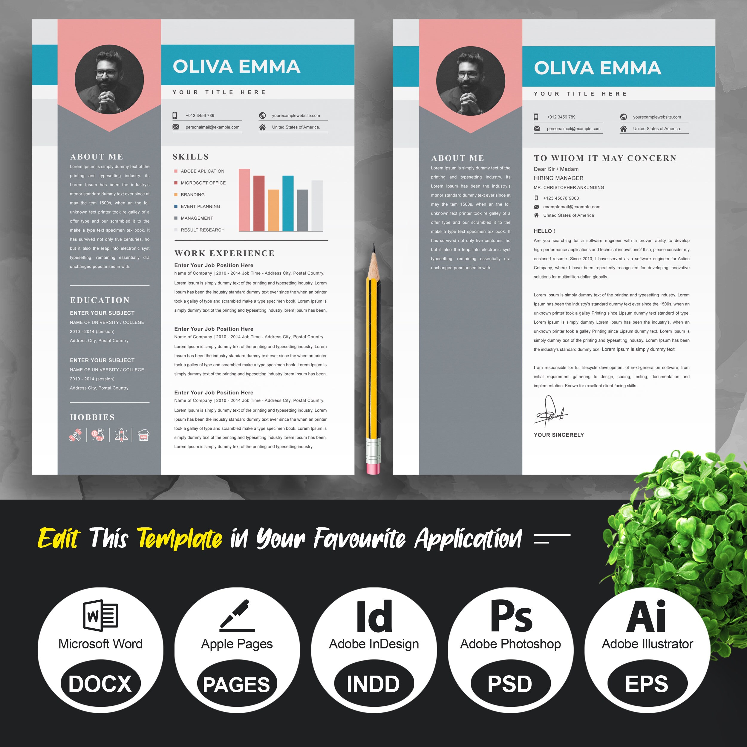Ms Word Infographic Resume Templates