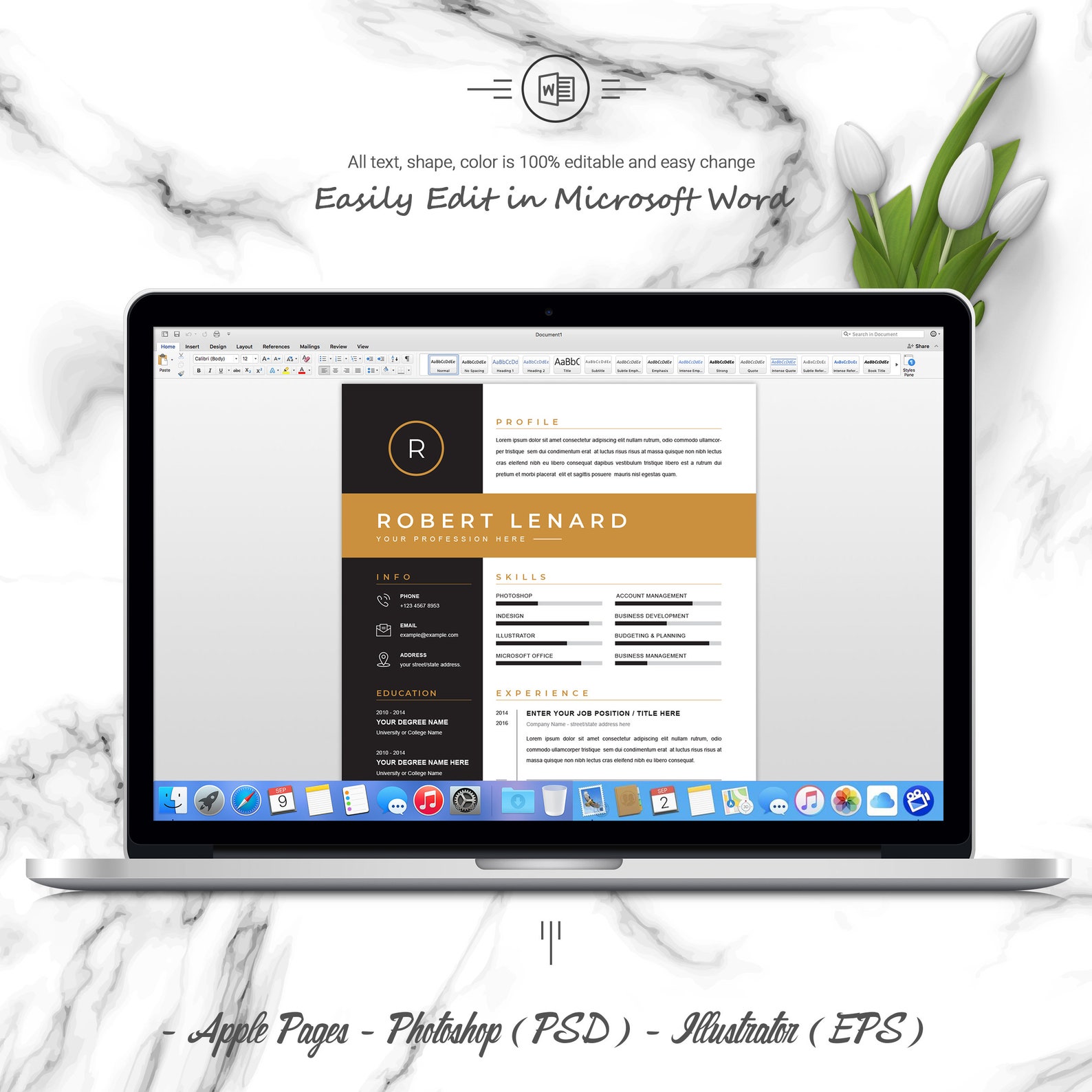 Resume Template, Professional Resume, CV Template, Modern Resume ...