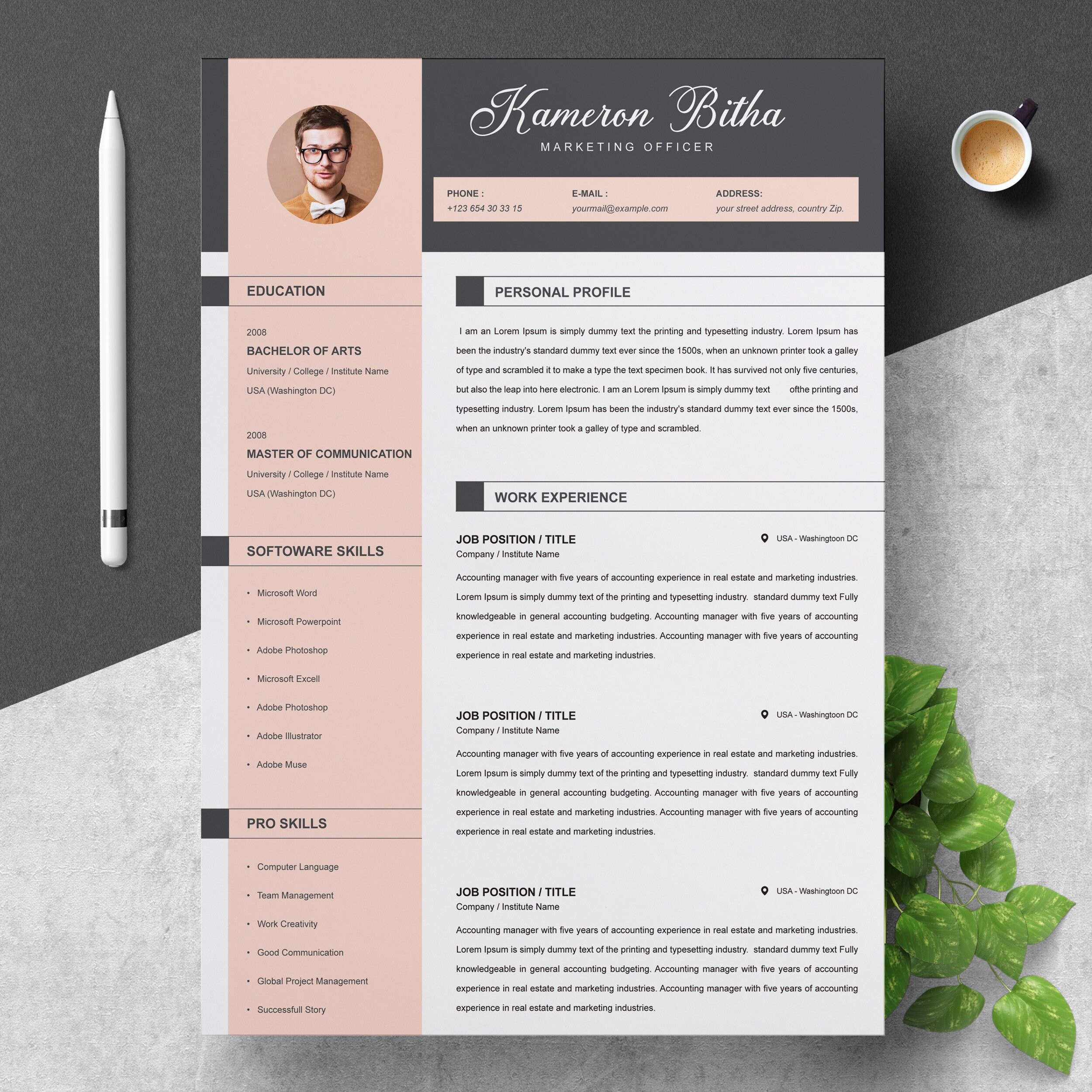 Professional Resume Template Cv Template Instant Download Etsy