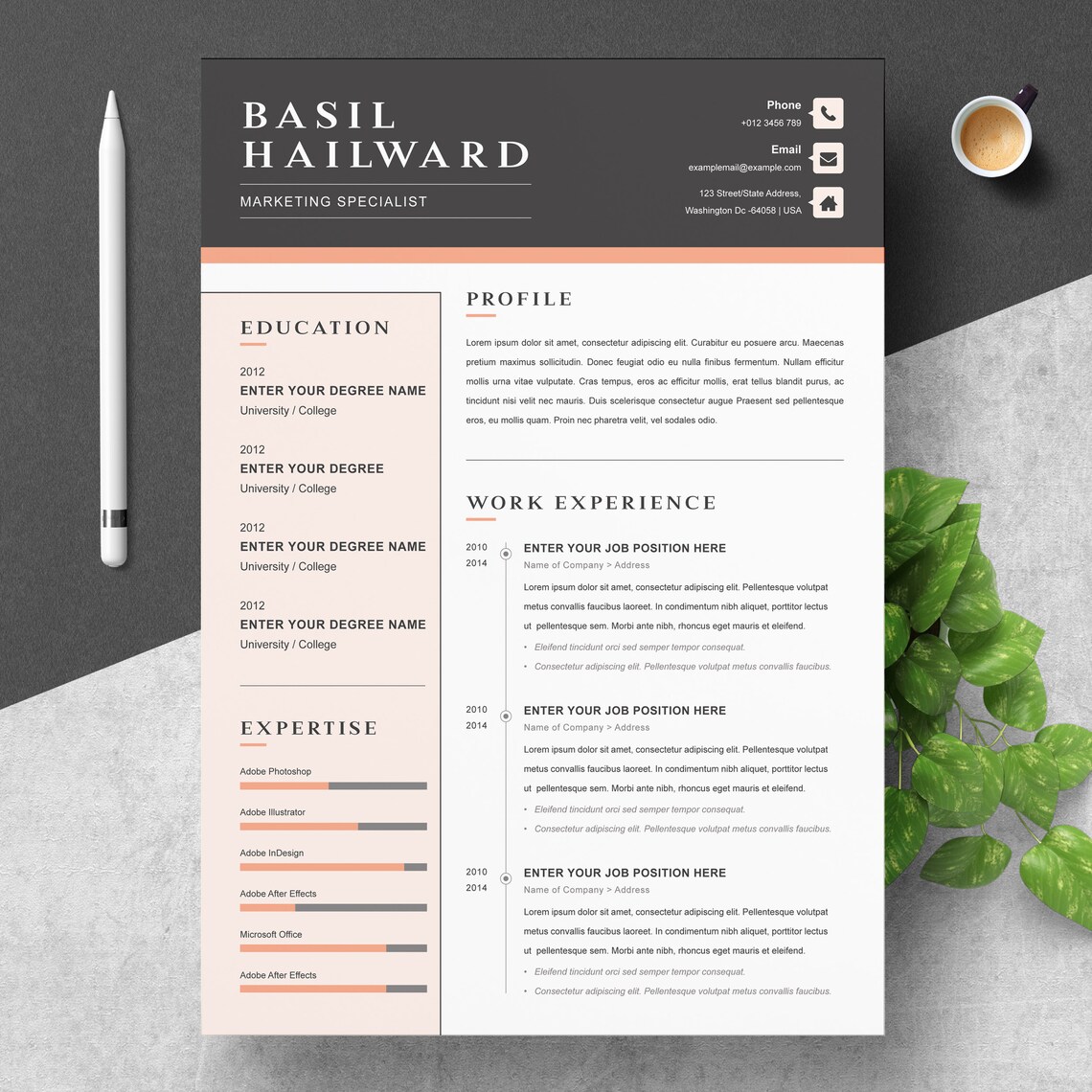 Professional Simple Resume Template Word Clean Resume Template Apple ...