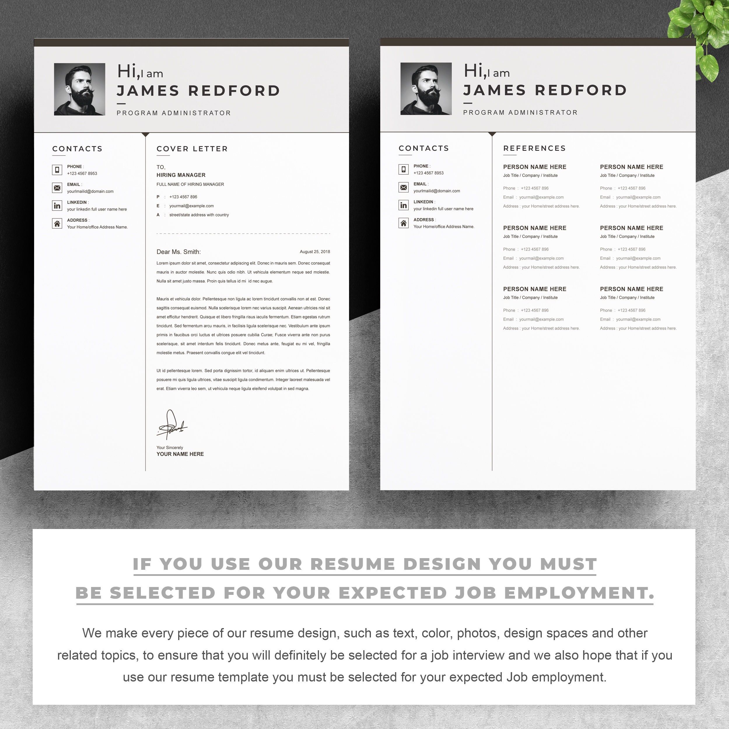 Professional Resume Template MS Word CV Design 2 Pages Best Curriculum ...