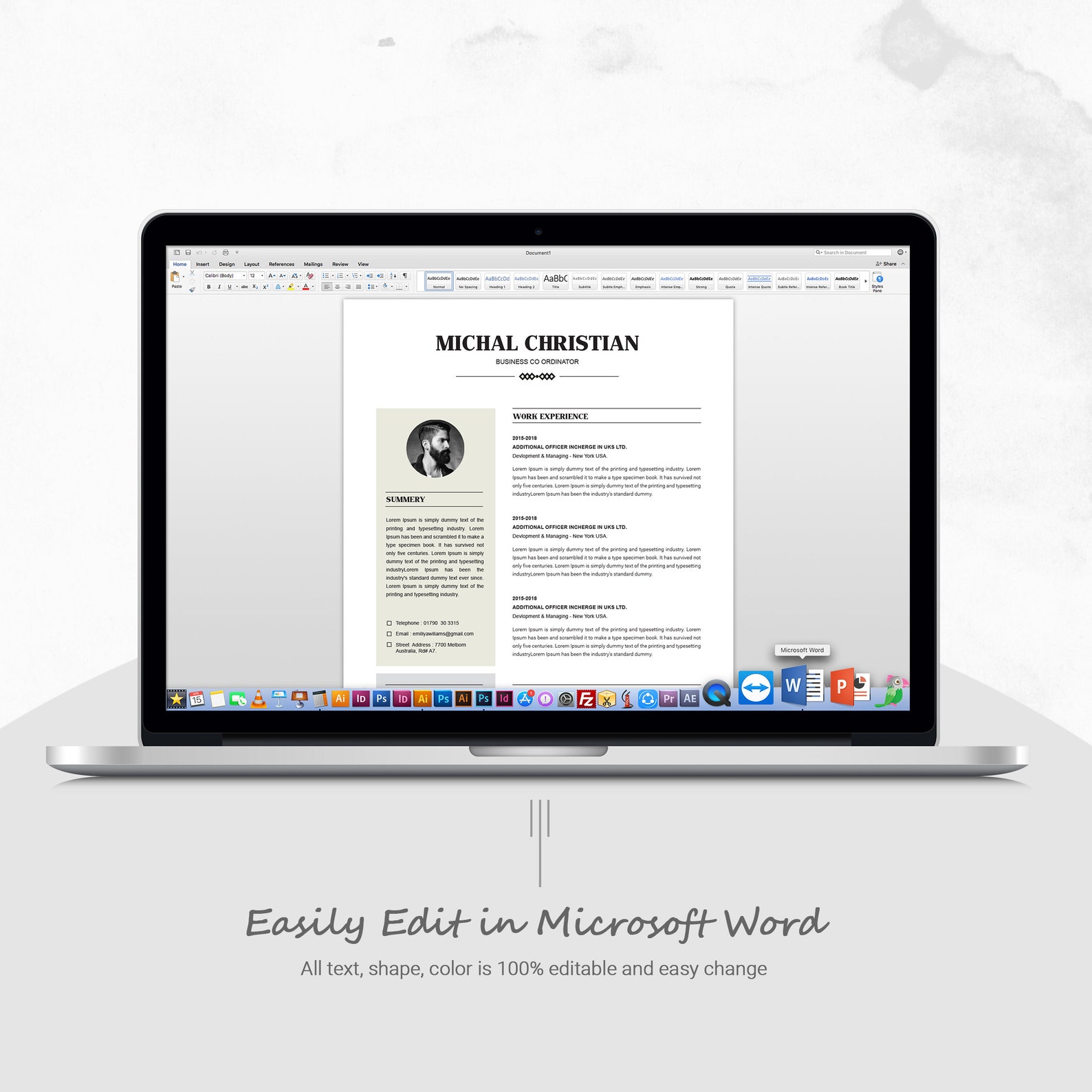 Professional Clean Resume / CV Design Template MS Word Apple Pages - Etsy