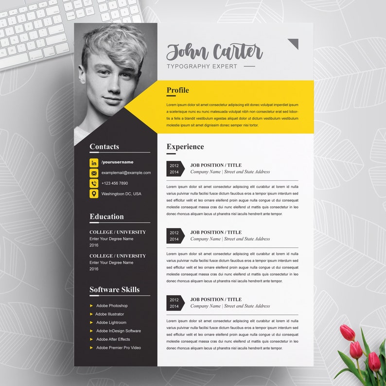 CV for Typography Expert Resume Template With Photo, Professional ...