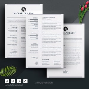 2 Pages Clean Professional Resume | CV | Curriculum Vitae Design ...