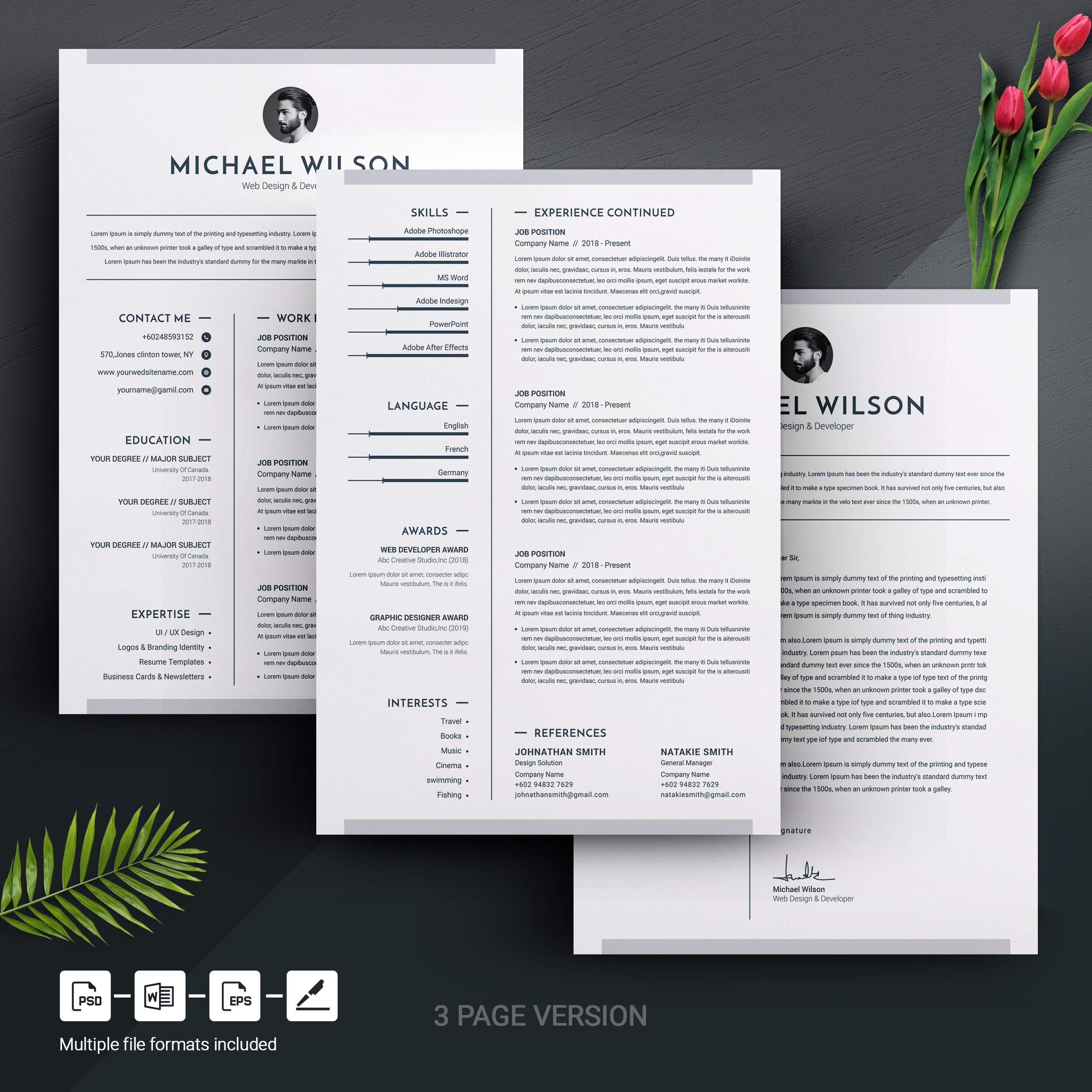 2 Pages Clean Professional Resume CV Curriculum Vitae Design Template ...