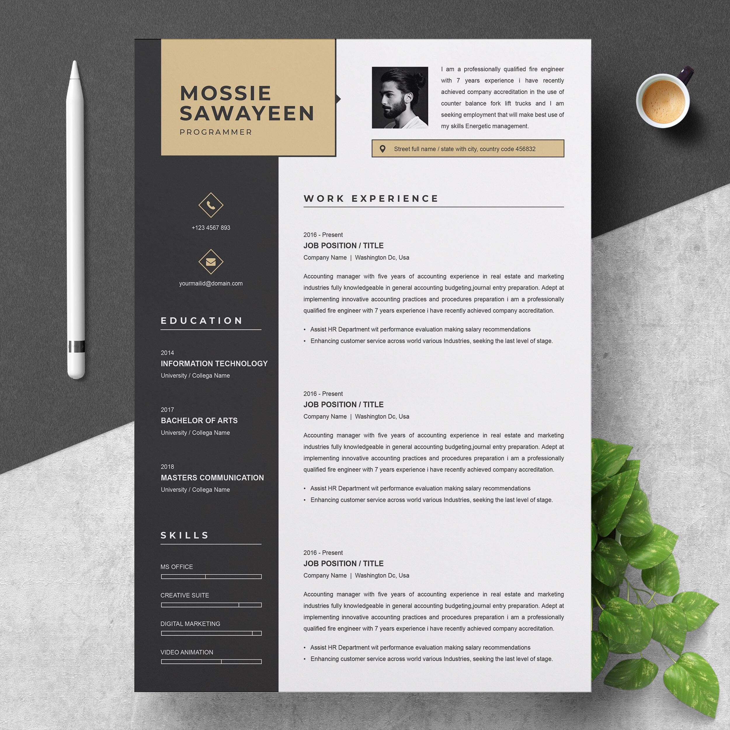 Professional Resume Template - Etsy