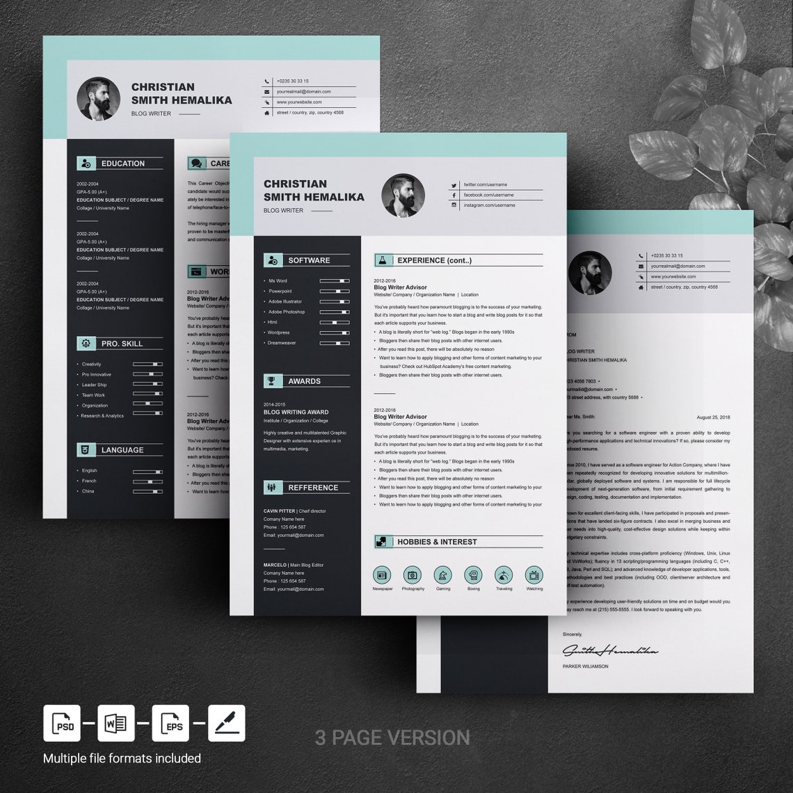 Professional Resume Template MS Word CV Design 2 Pages Best Curriculum ...