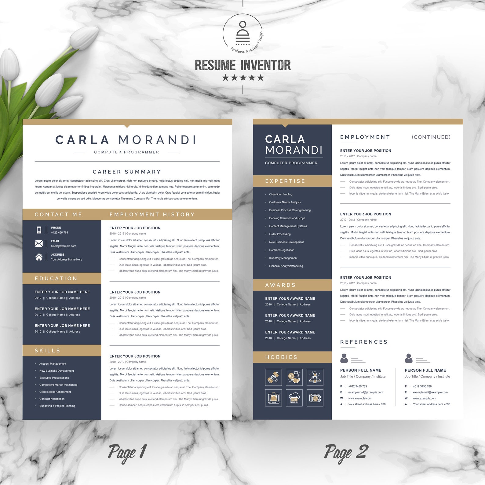 Modern Resume Template / CV Template and Format CV Examples - Etsy