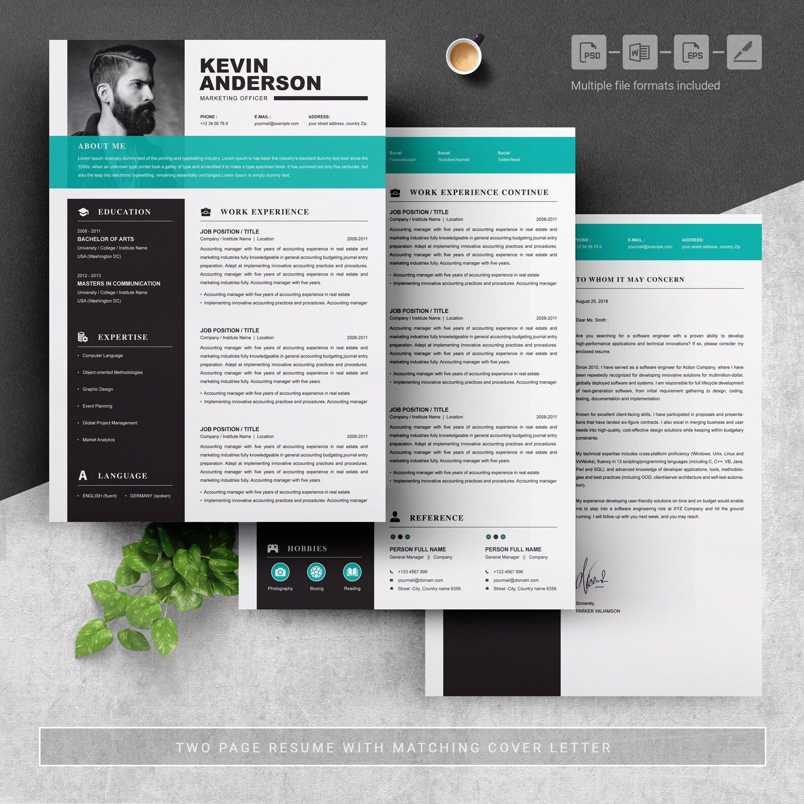 Modern & Professional Colour Resume Template for Word | CV Resume ...