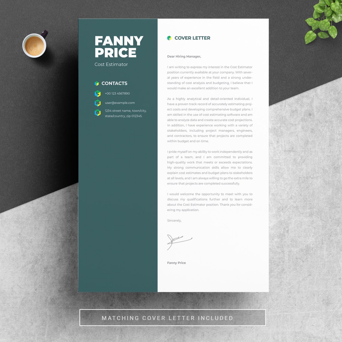 Elegant Resume Template, Classic CV Design, Stylish Resume Layout ...