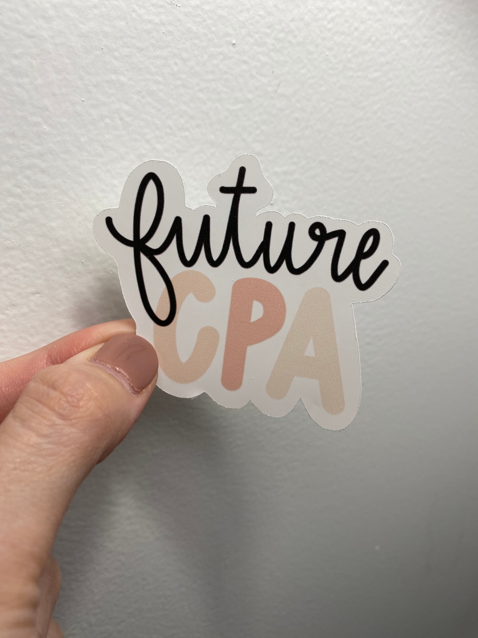 Future CPA Sticker laptop sticker water bottle sticker | Etsy