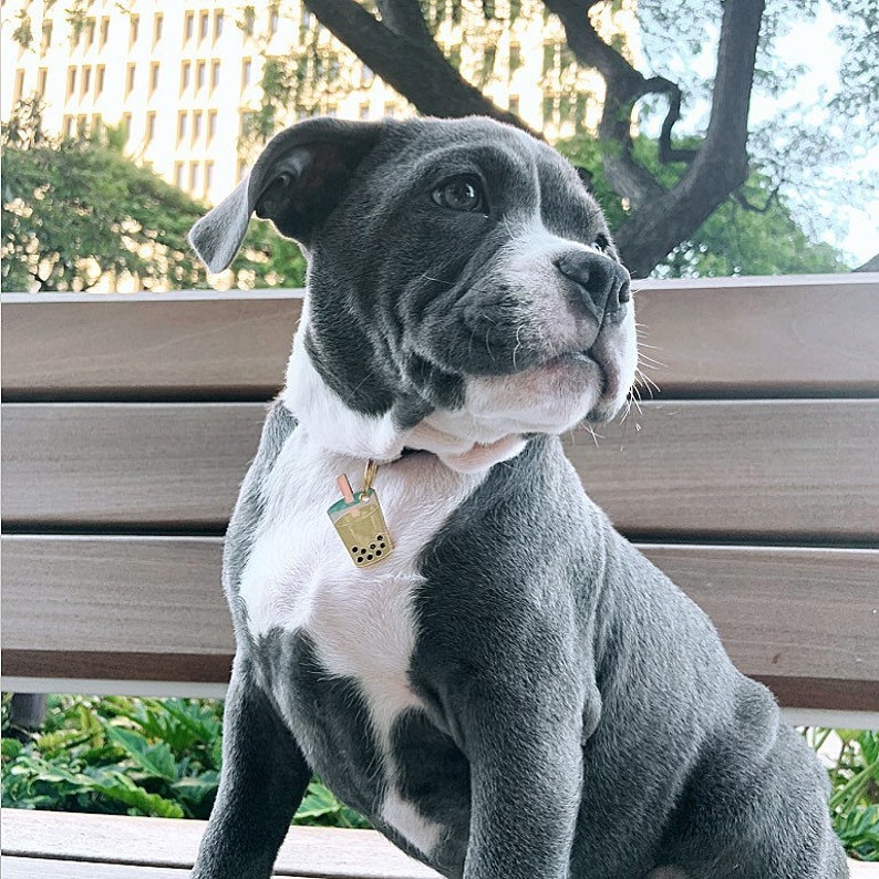 Pet Dog Tag, Dog ID Tag, Pet Dog ID Tag, Puppy Tag, Personalized Dog ...