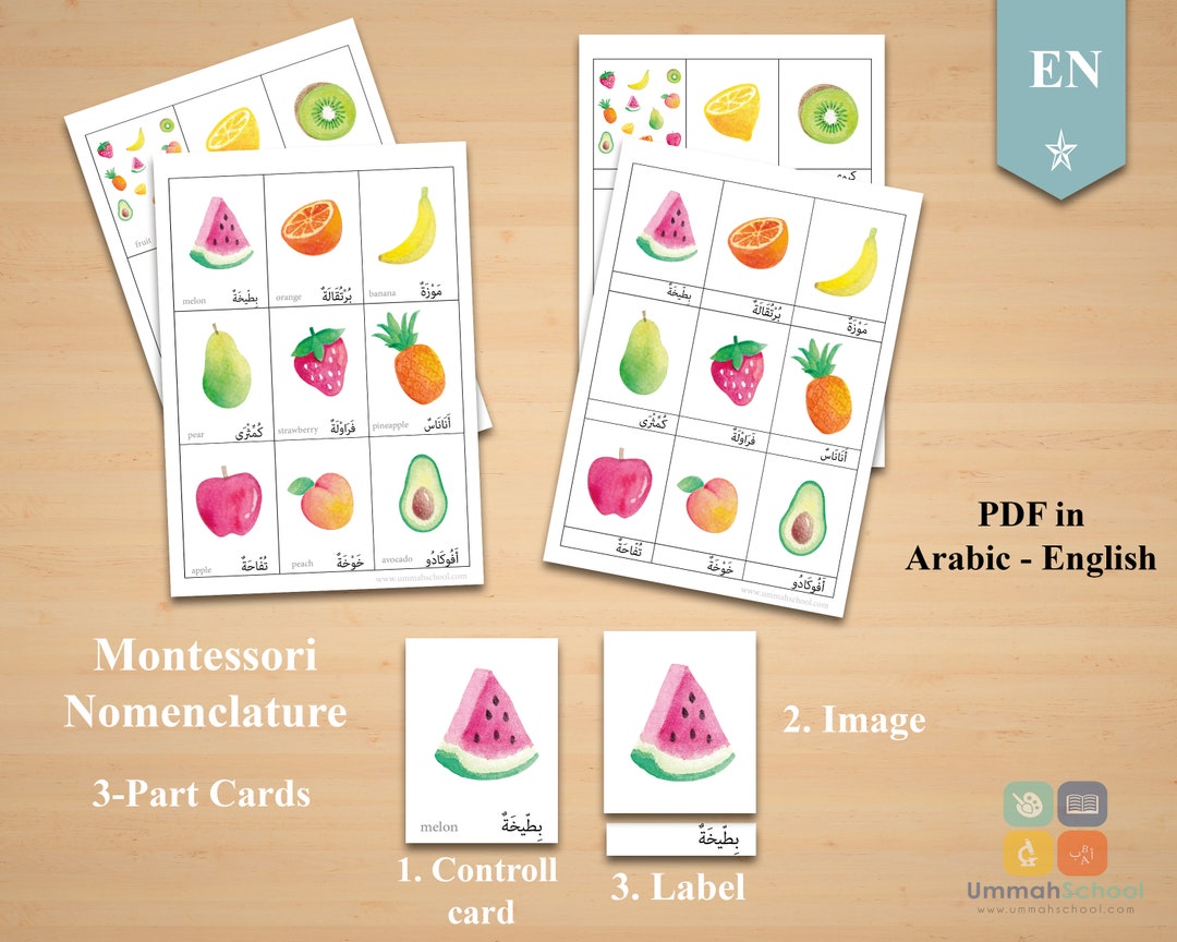 FRUITS in Arabic - English • Montessori Cards • Flash Cards • Three ...