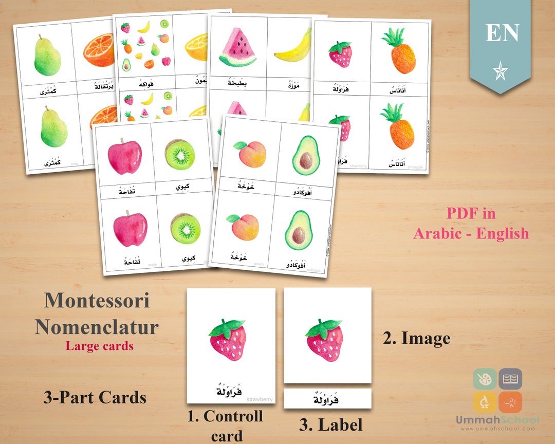 FRUITS in Arabic - English • Montessori Cards • Flash Cards • Three ...