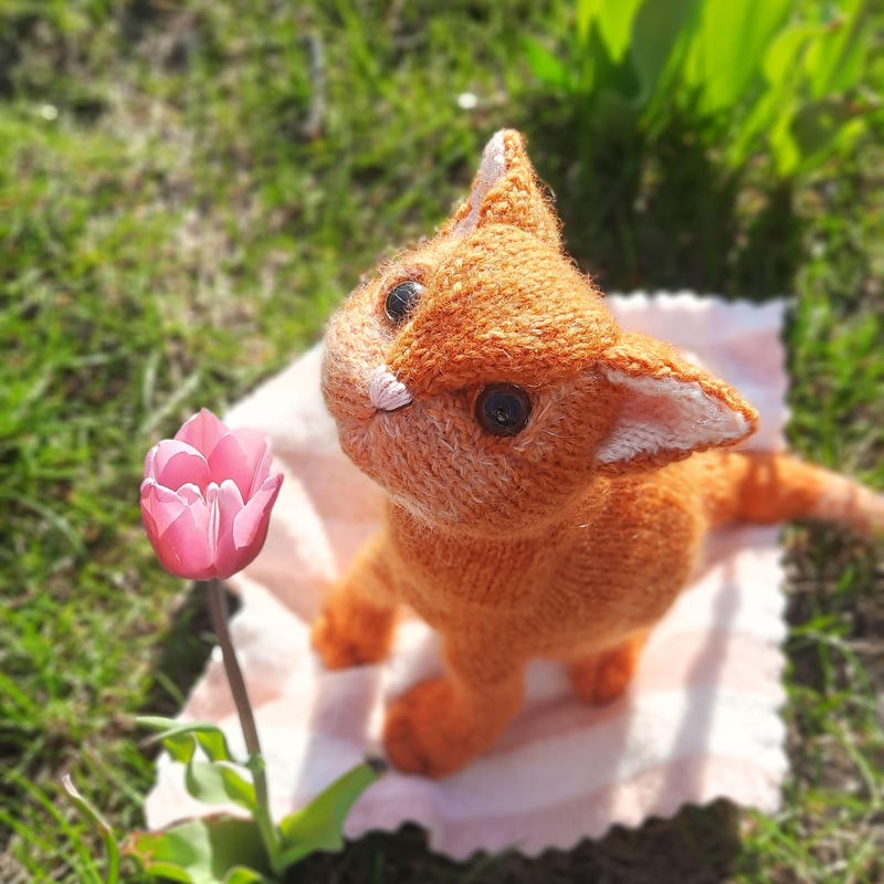 Realistic Lifelike Kitten - Etsy
