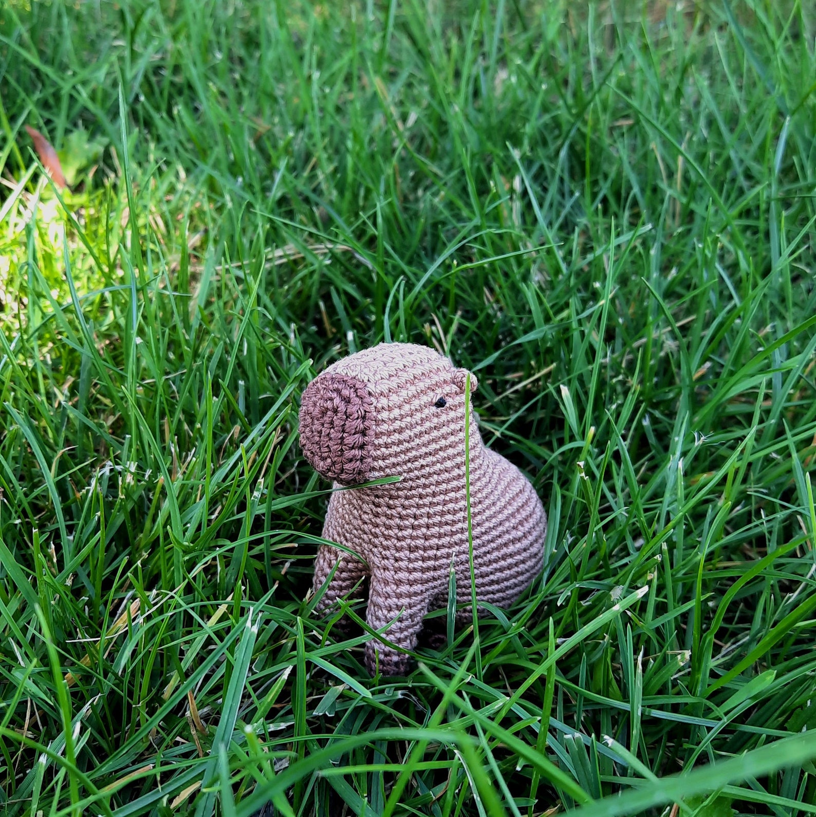 Sitting Capybara Crochet Pattern. Capybara With Top Hat and Bow Tie for ...